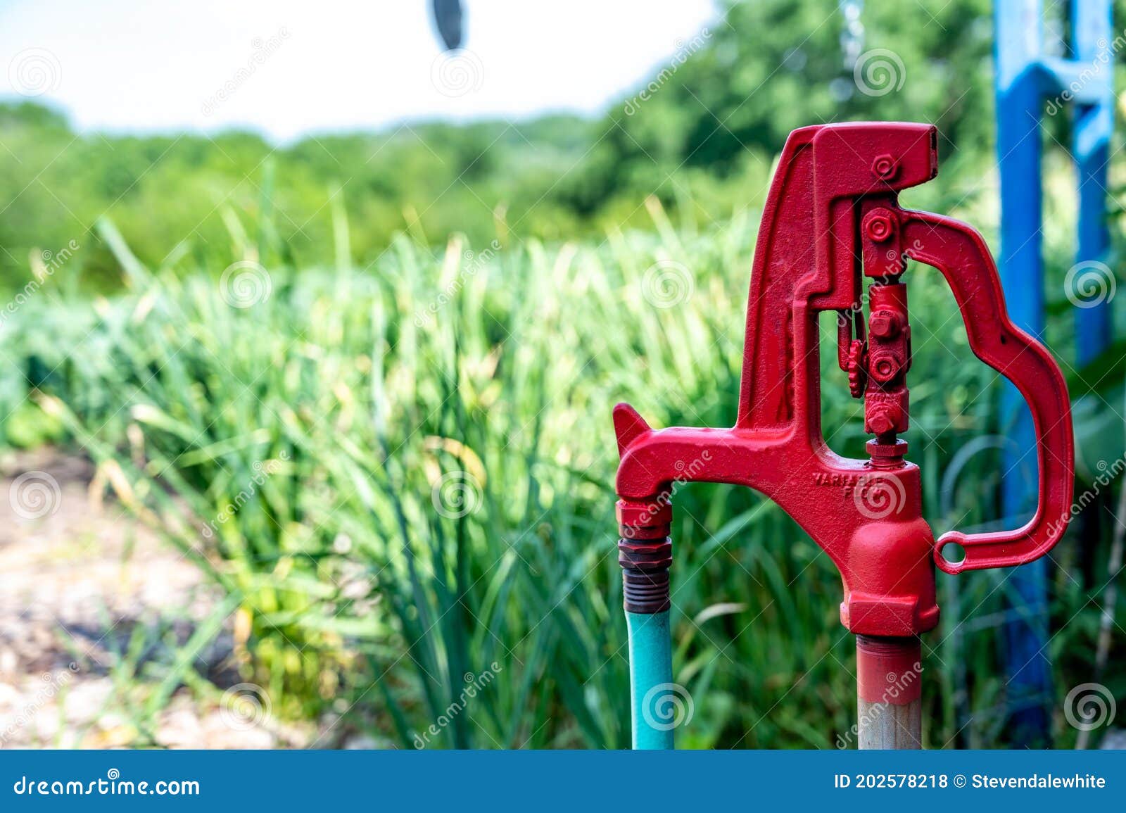 Old Style Mechanical Self Draining Hydrant in Blurred Rural Garden ...