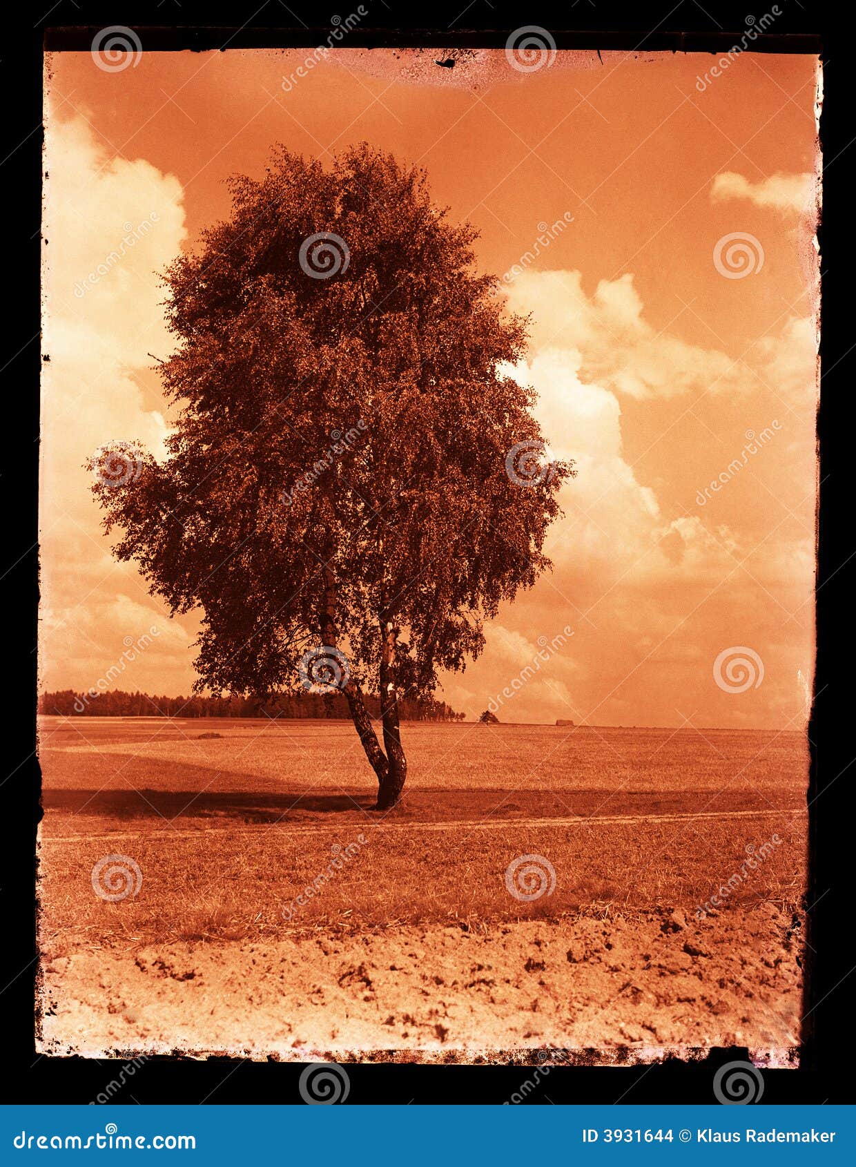 Old style photography stock photo. Image of vintage, film - 3931644