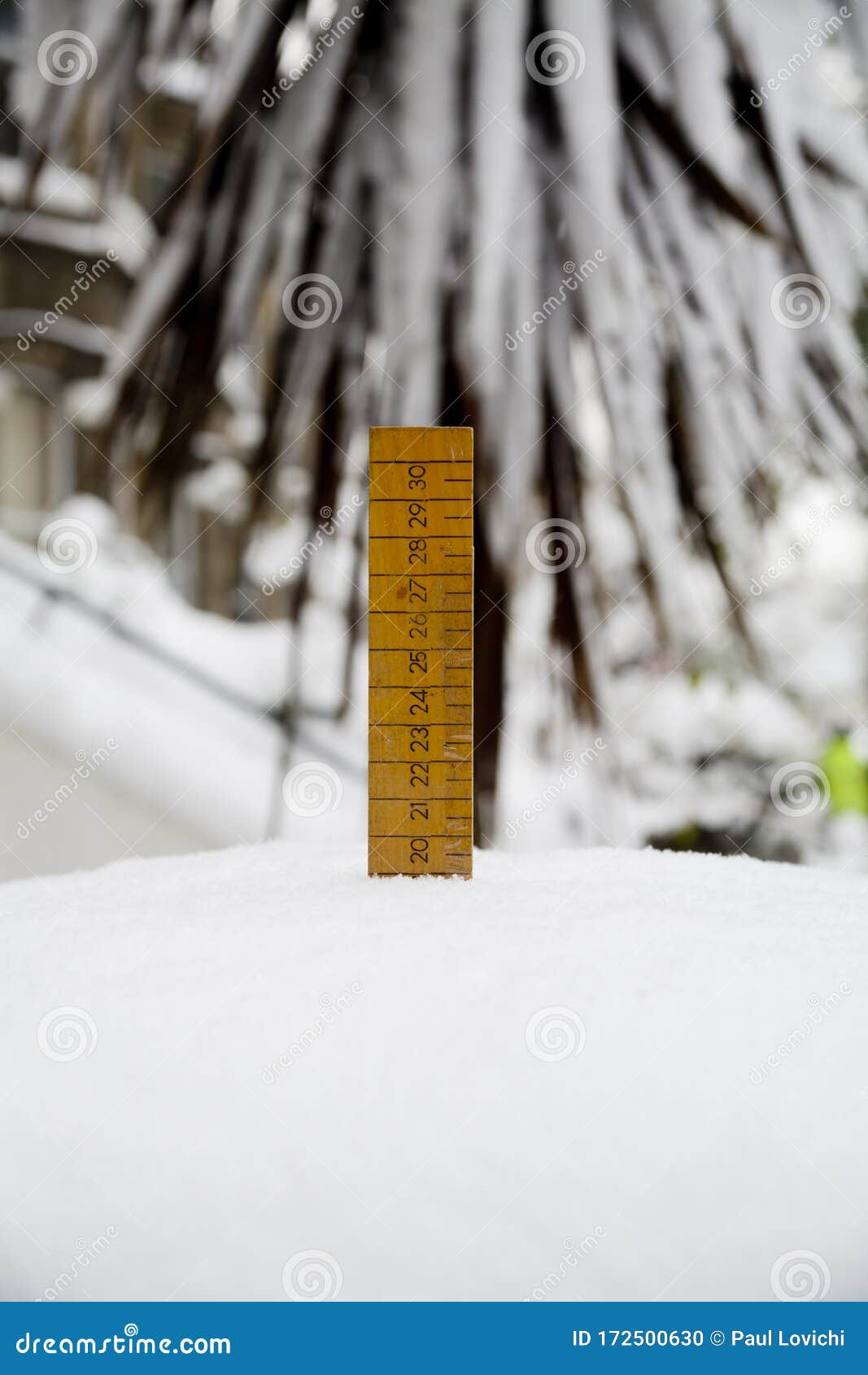 Measuring The Snow Depth With Ruler Royalty-Free Stock Image ...