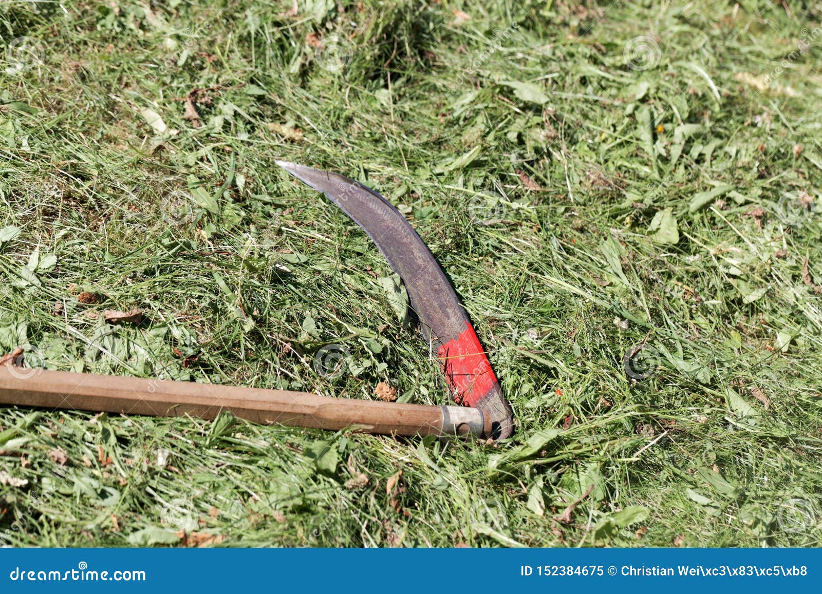 Old Style Scythe in Fresh Mowed Hay Stock Image - Image of farming ...