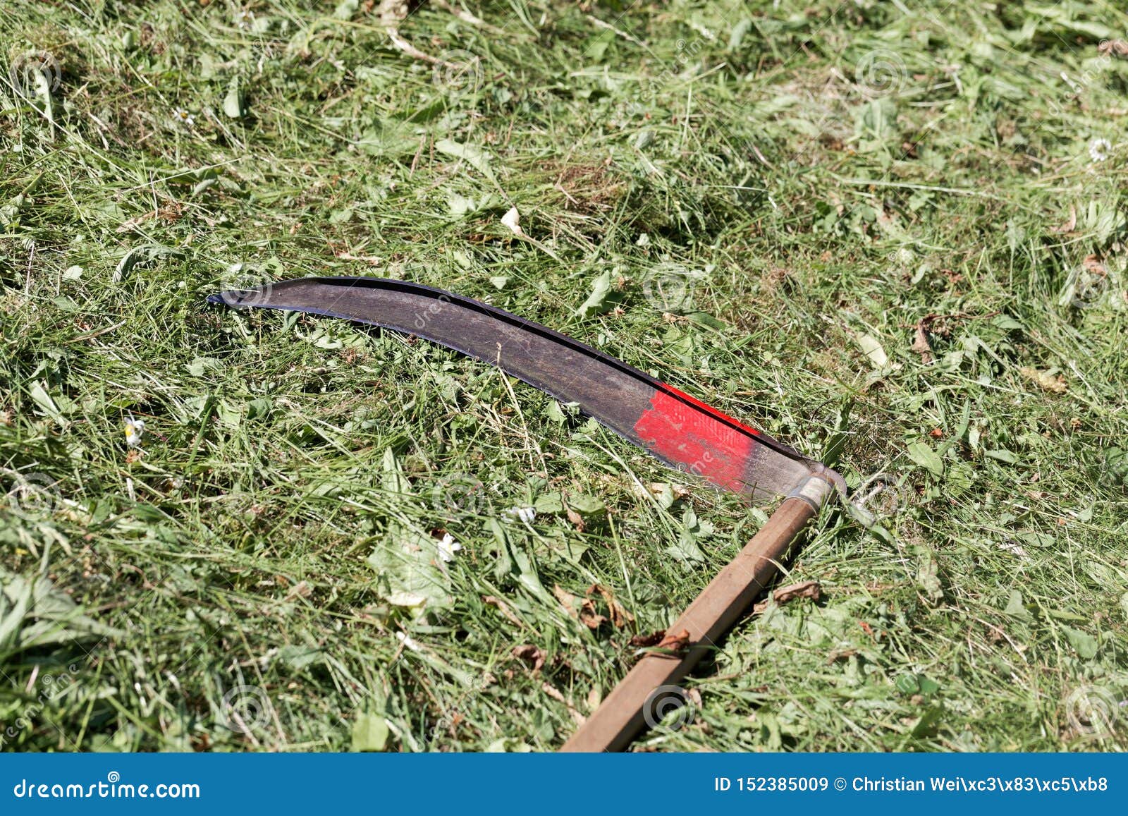 Old Style Scythe in Fresh Mowed Hay Stock Image - Image of natural ...