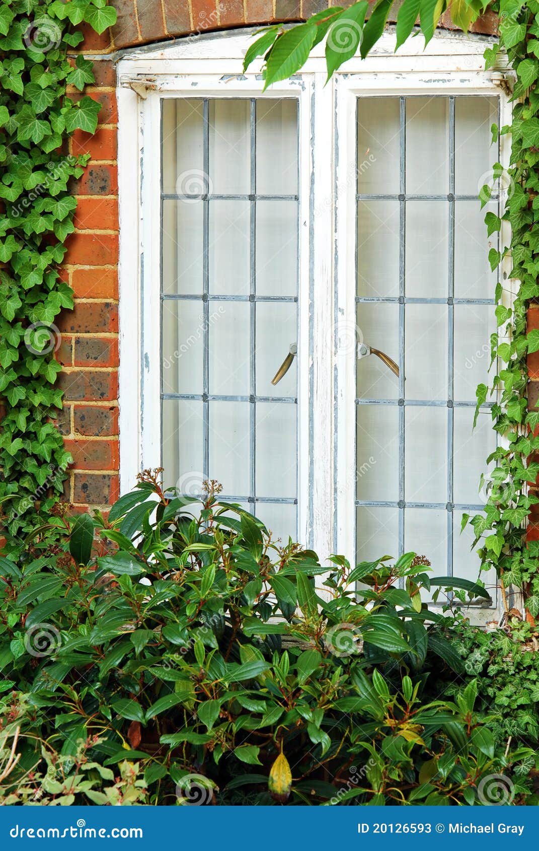 Old style window stock image. Image of climbing, aged - 20126593