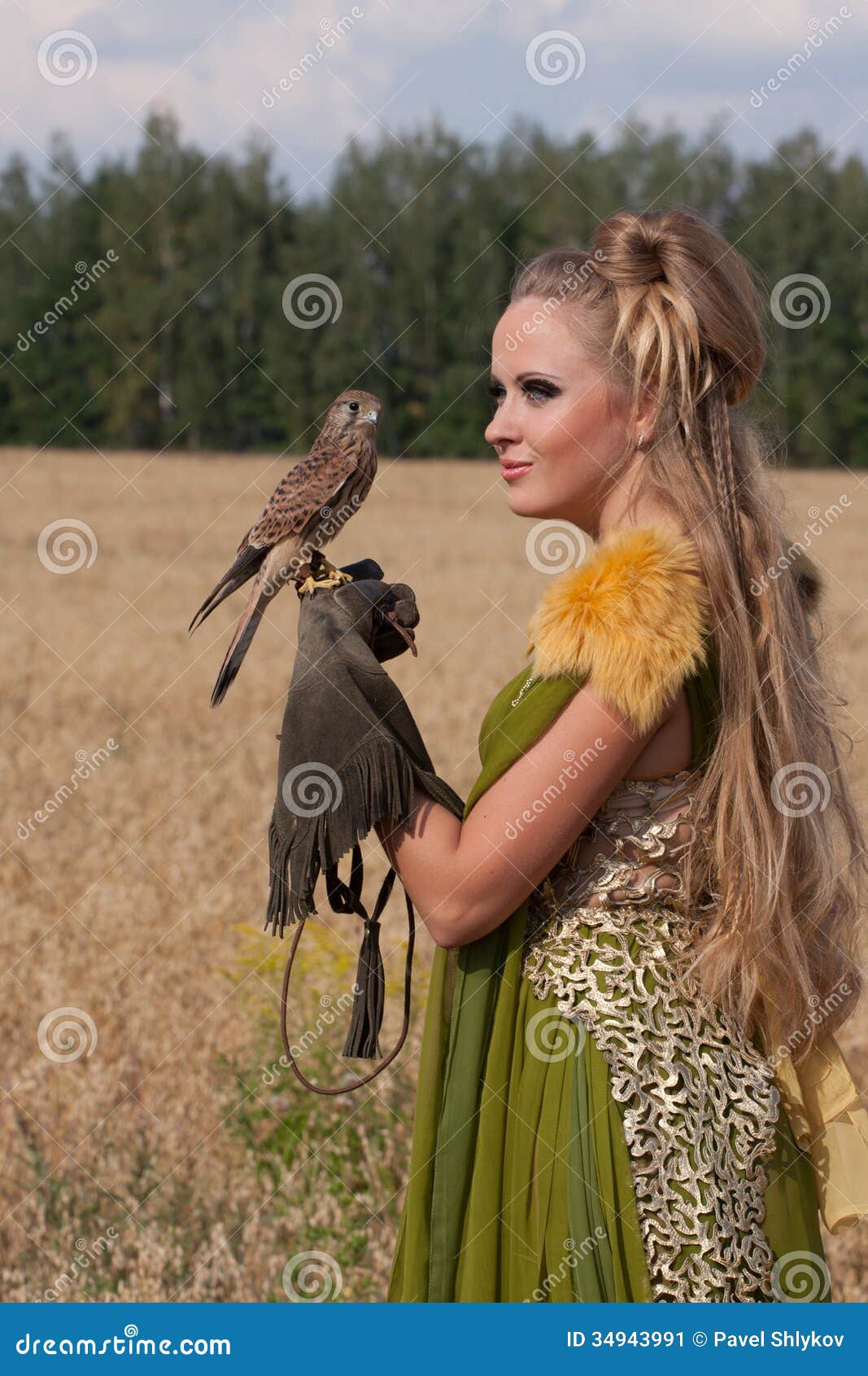 Old Style Woman with Hawk on Hand Stock Image - Image of carnivore ...