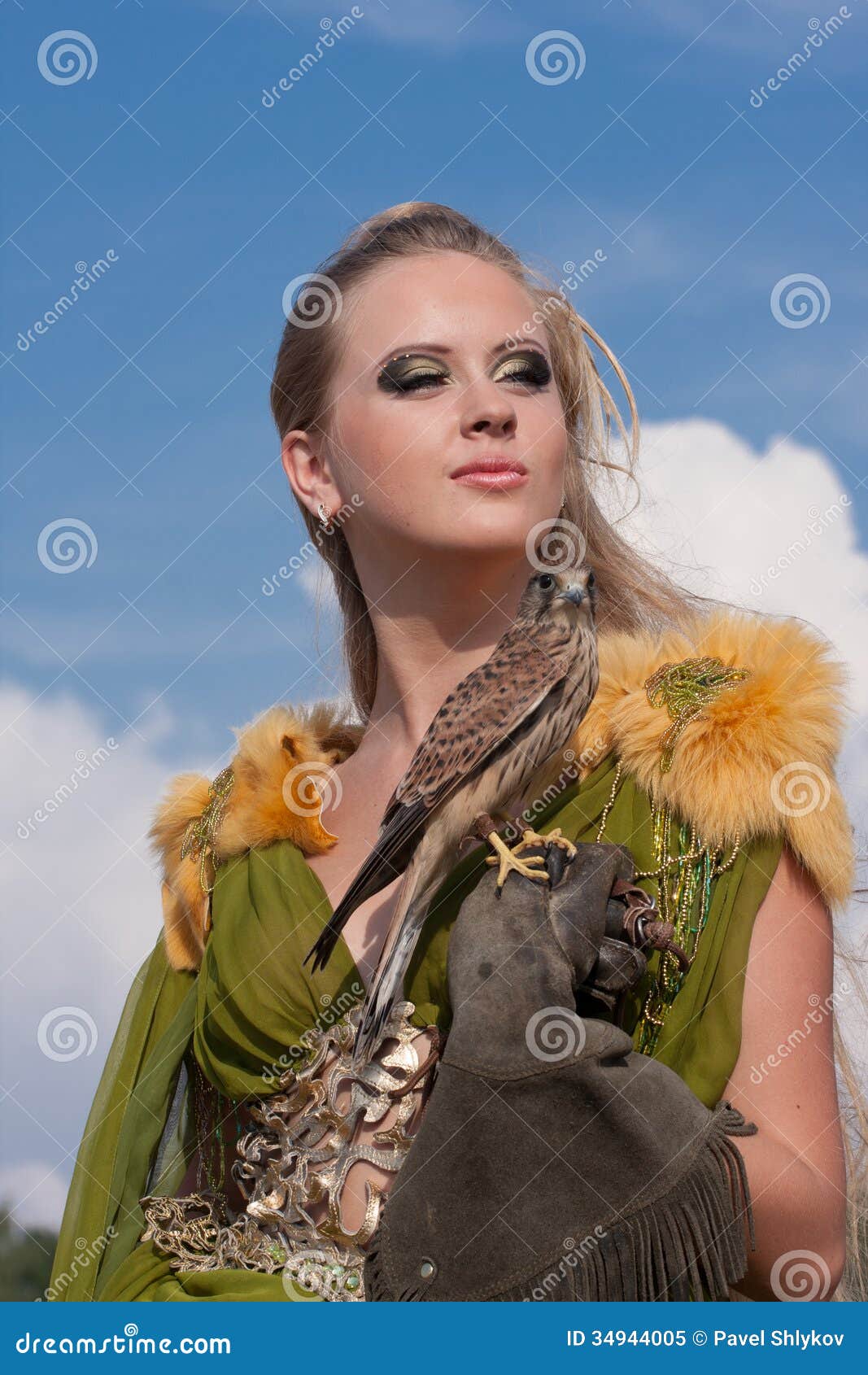 Old Style Woman with Hawk on Hand Stock Image - Image of dress, fastest ...