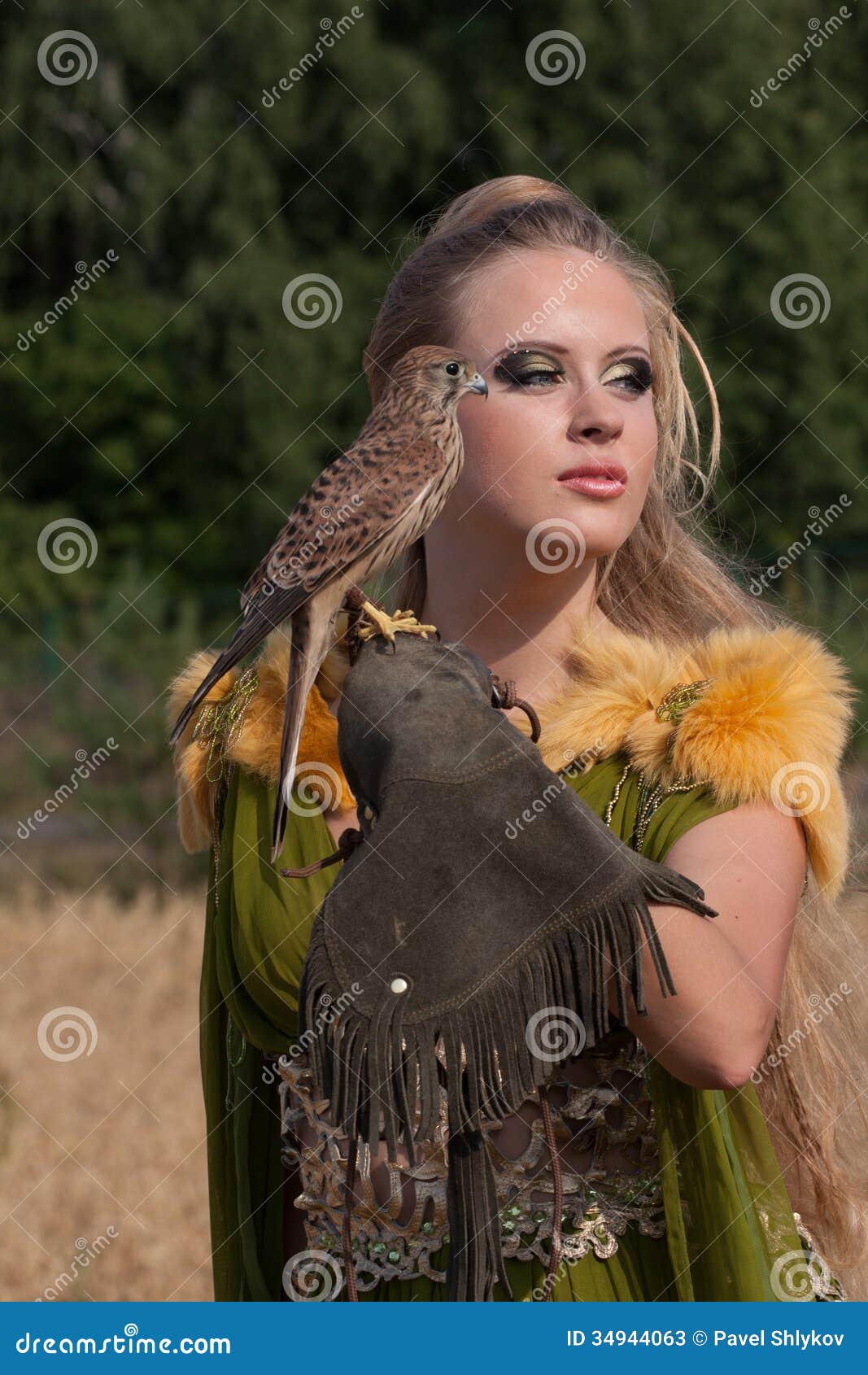 Old Style Woman with Hawk on Hand Stock Image - Image of beauty, bill ...