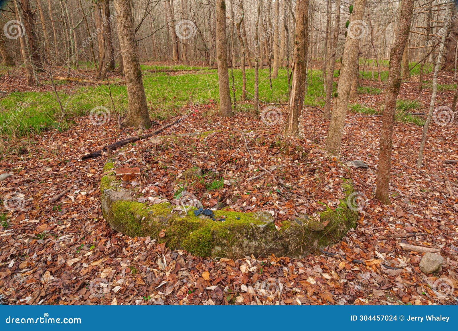 Old Sugarlands Trail, CCC Camp Area Stock Photo - Image of remains ...