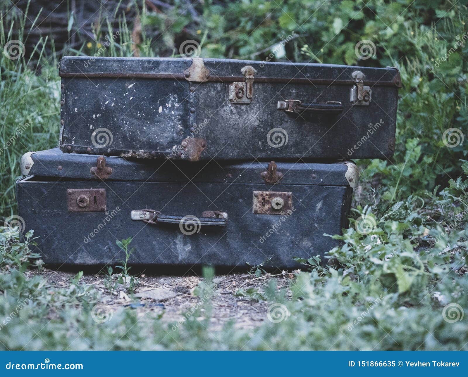 Old Suitcase Lying on the Ground Stock Image - Image of freedom, leaves ...