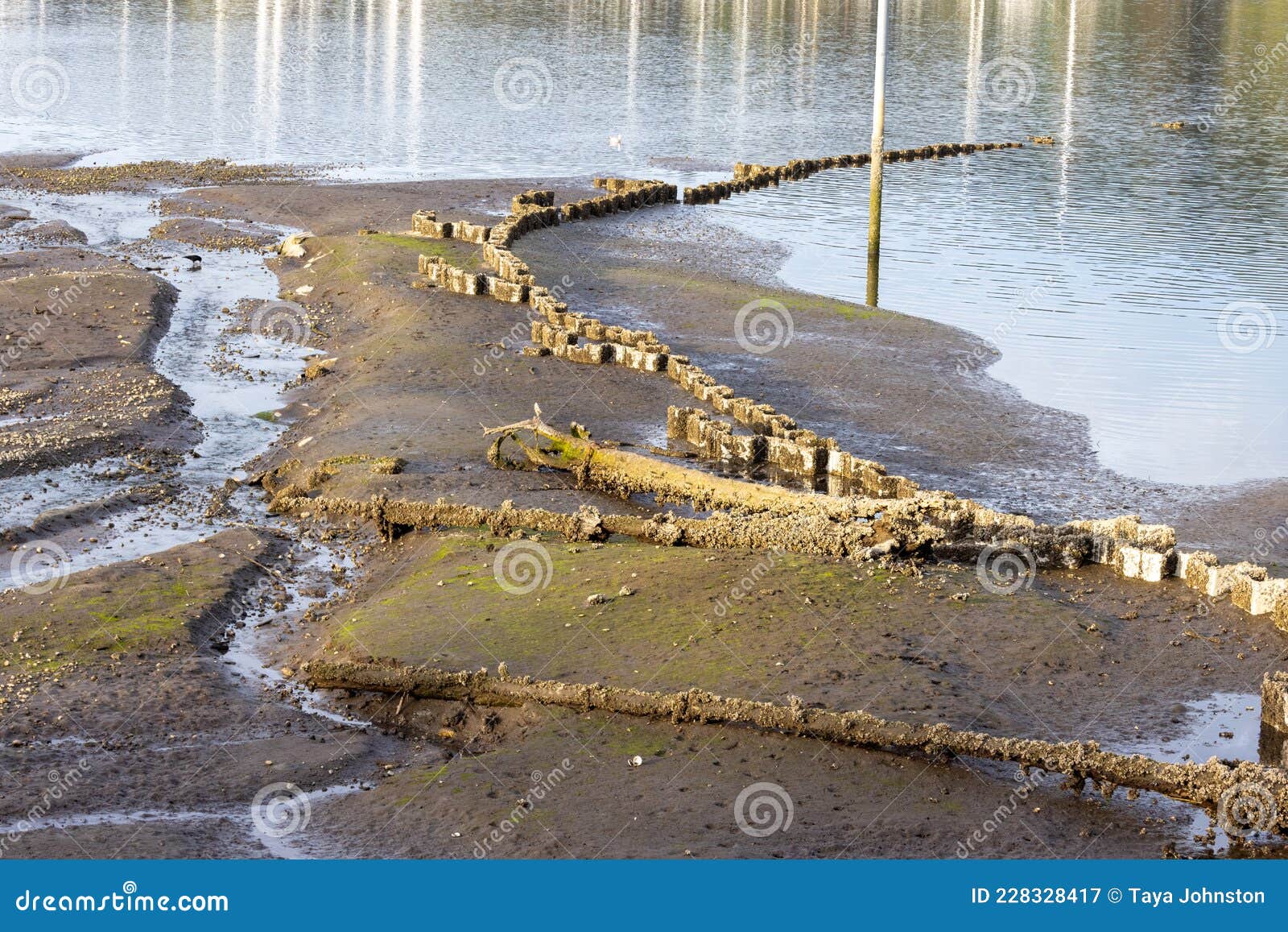 Old Sunken Structures in a Sea Bed Stock Image - Image of growing ...