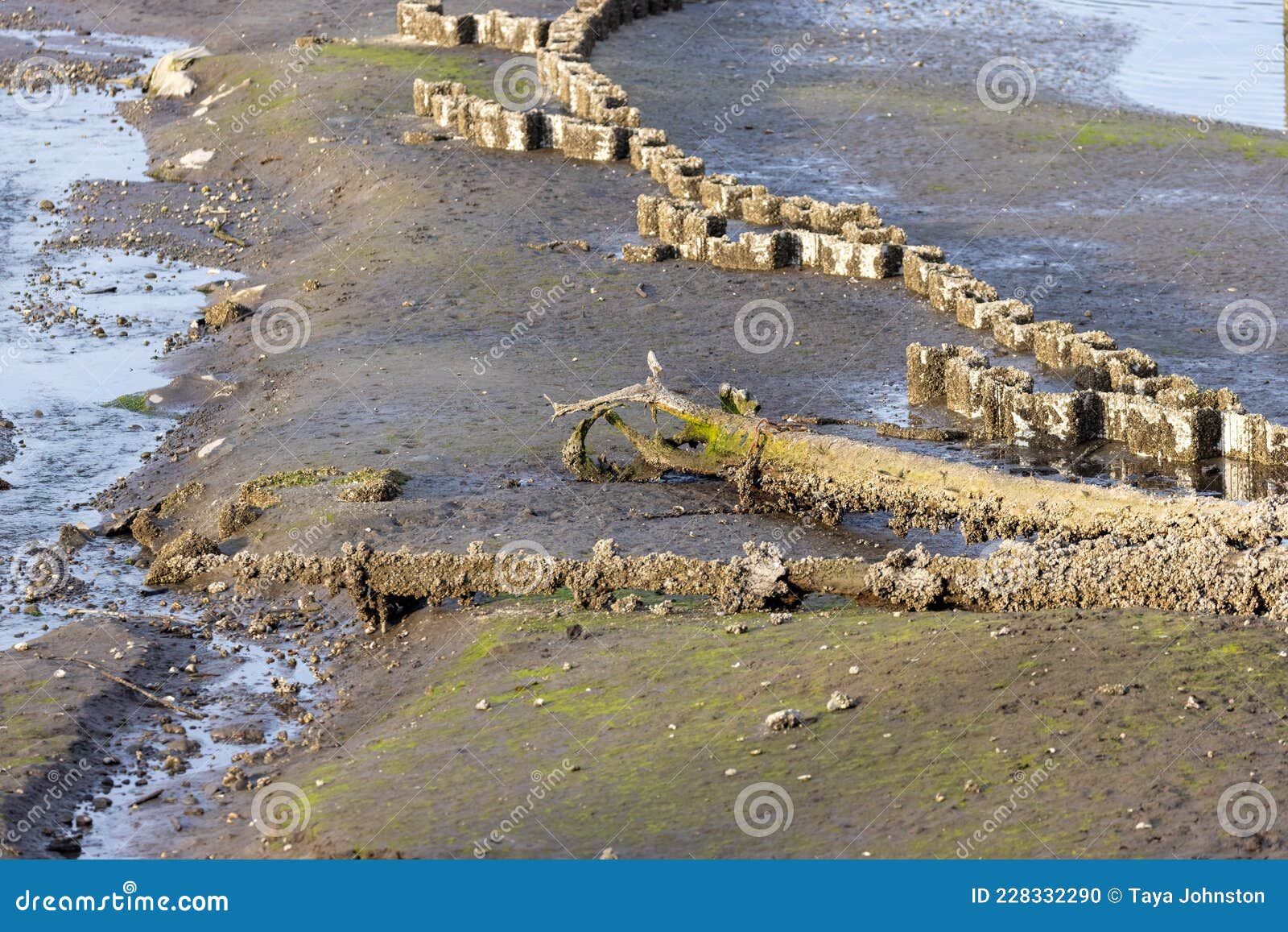 Old Sunken Structures In A Sea Bed Stock Image | CartoonDealer.com ...