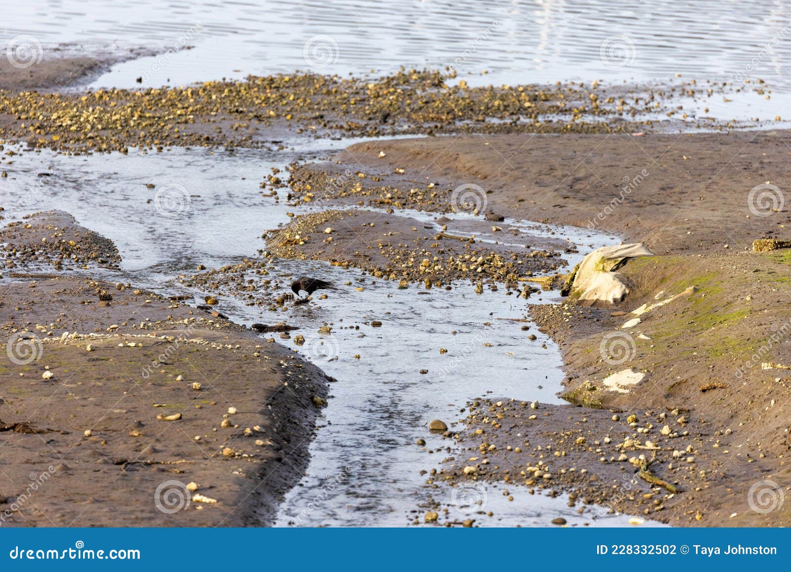 Old Sunken Structures In A Sea Bed Stock Image | CartoonDealer.com ...