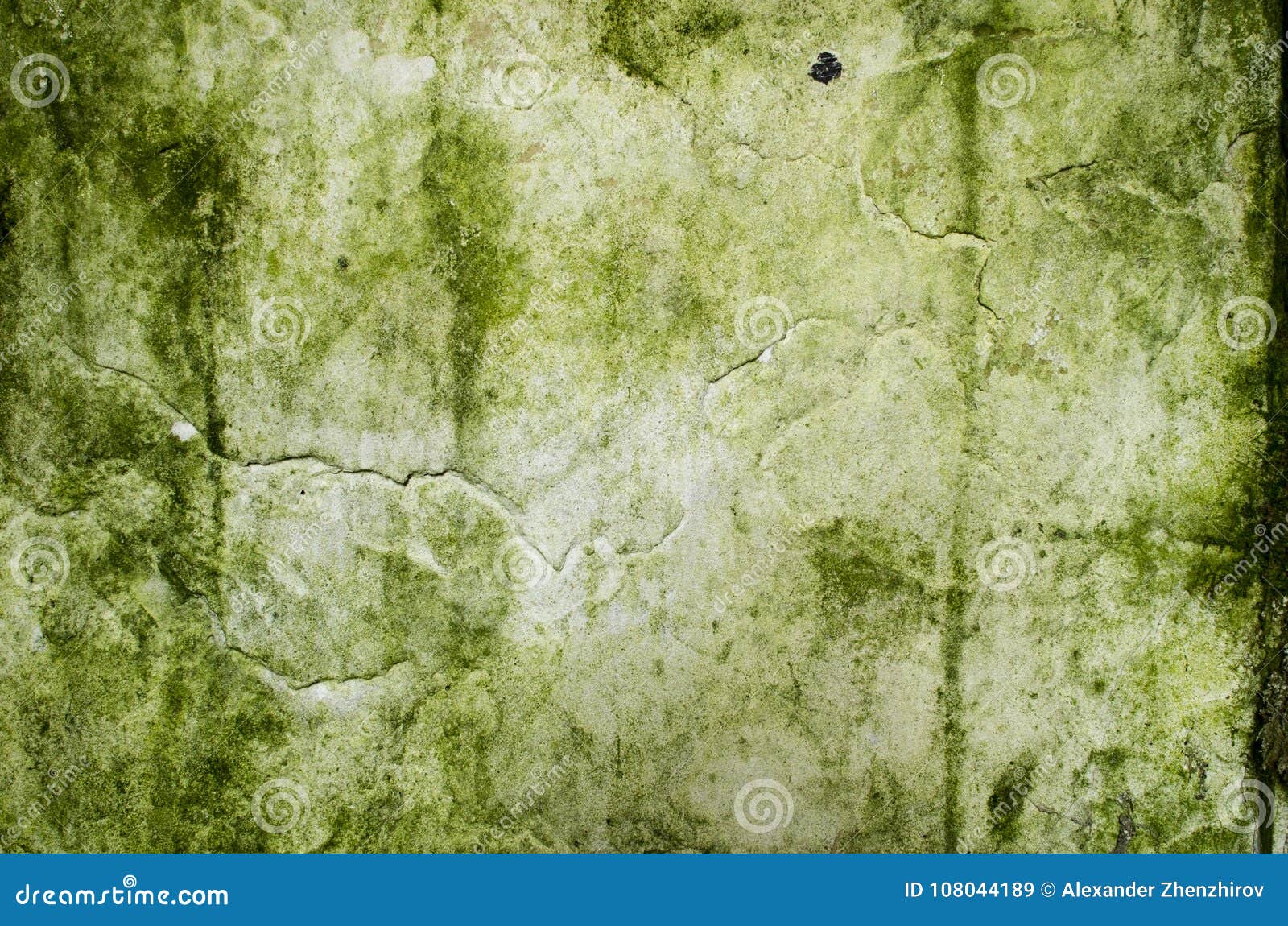 14,837 Surface Mold Stock Photos - Free & Royalty-Free Stock Photos ...