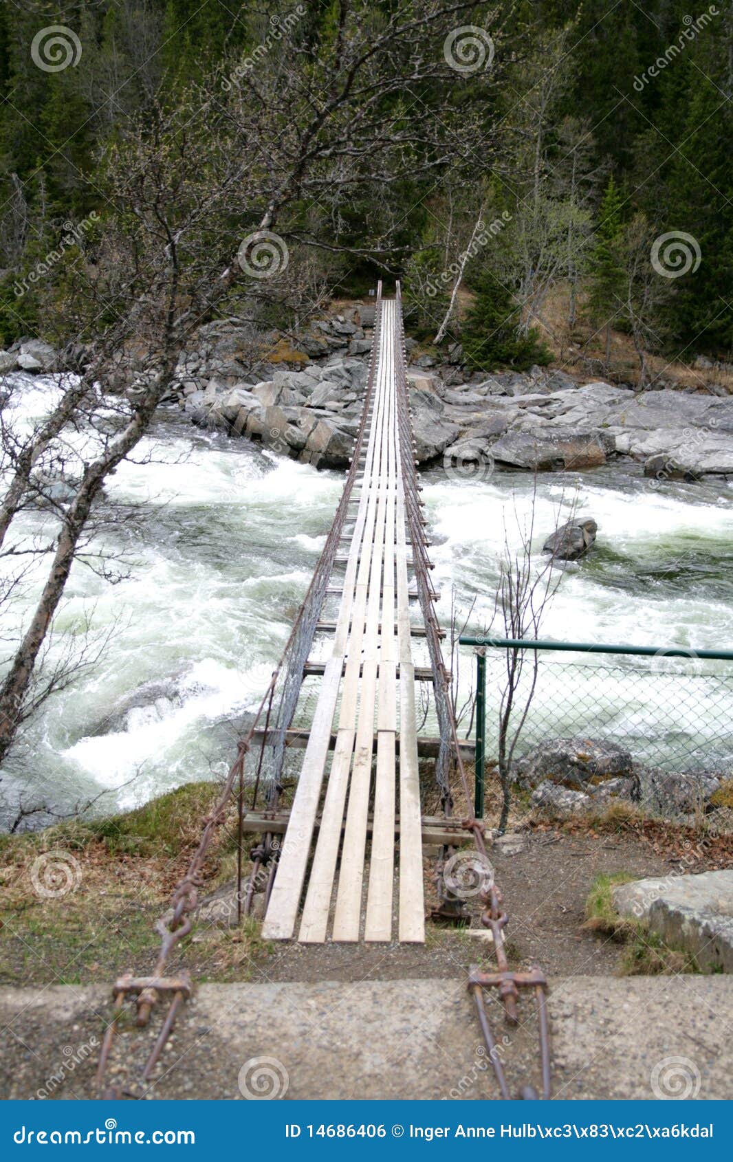 Old suspension bridge stock photo. Image of wild, aged - 14686406