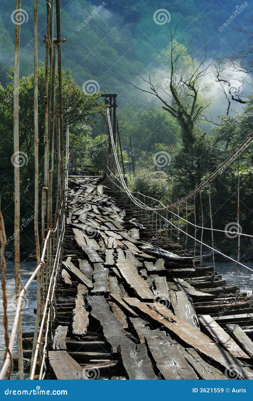 Old Rope Bridge