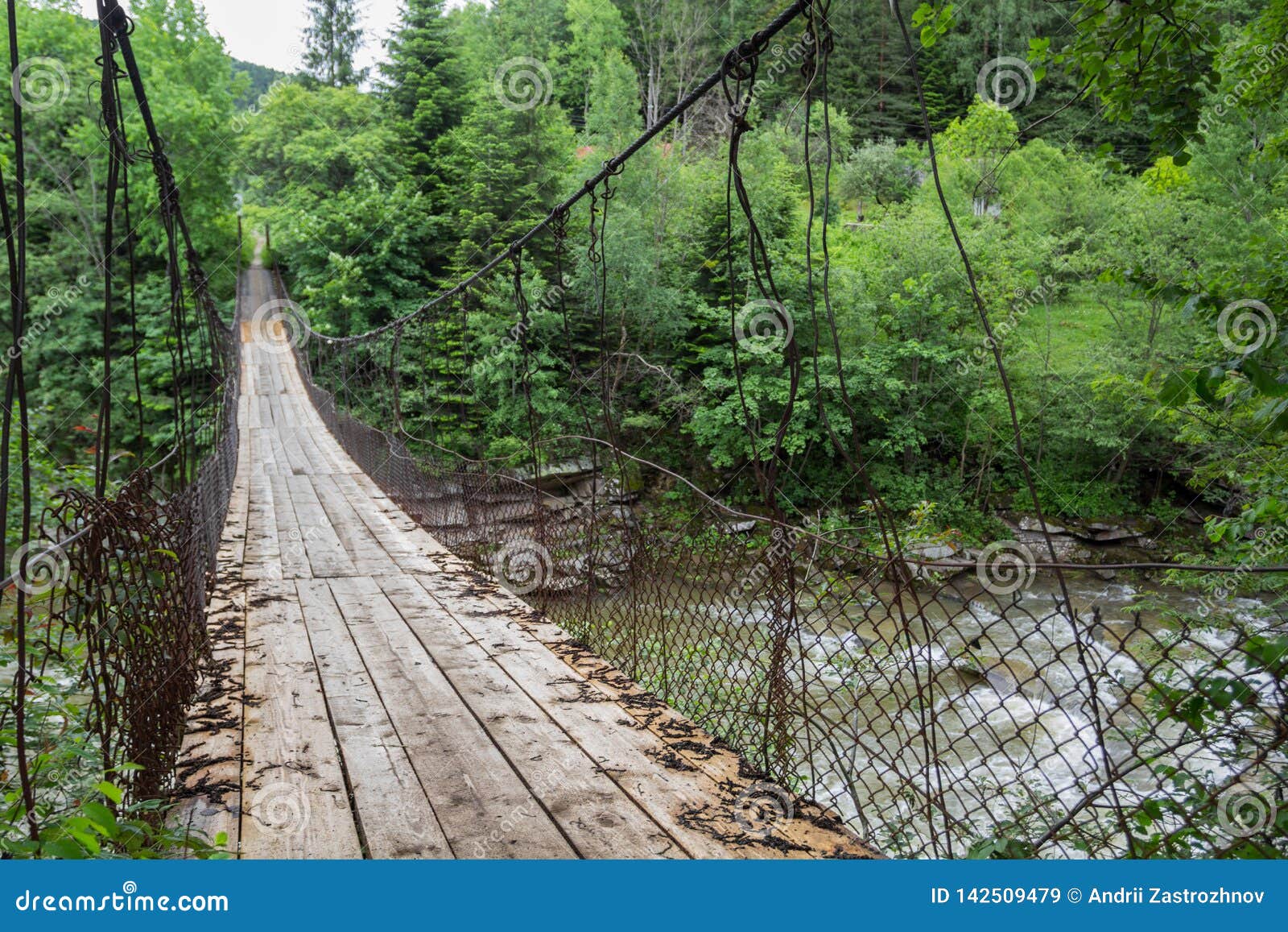 Old Suspension Bridge Over the River in the Forest Stock Image - Image ...