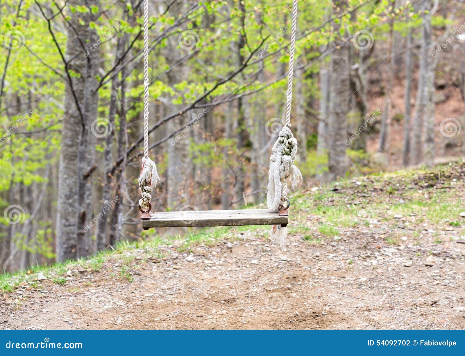 The old swing ropes stock photo. Image of landscape, wood - 54092702
