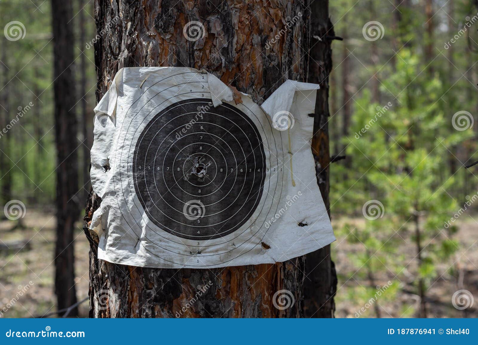 Old Tactical Paper Target on Tree Located on Military Shooting Range ...
