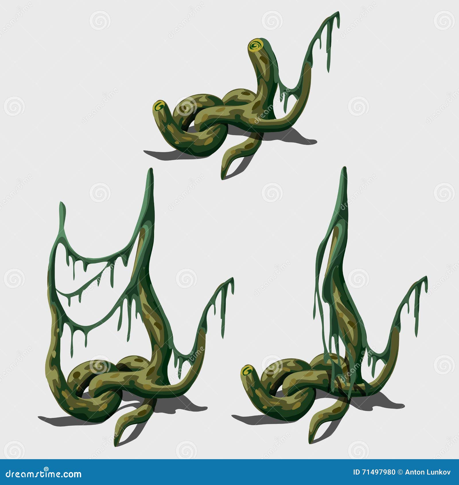 Old Tangled Roots of the Trees in Mud Stock Vector - Illustration of ...