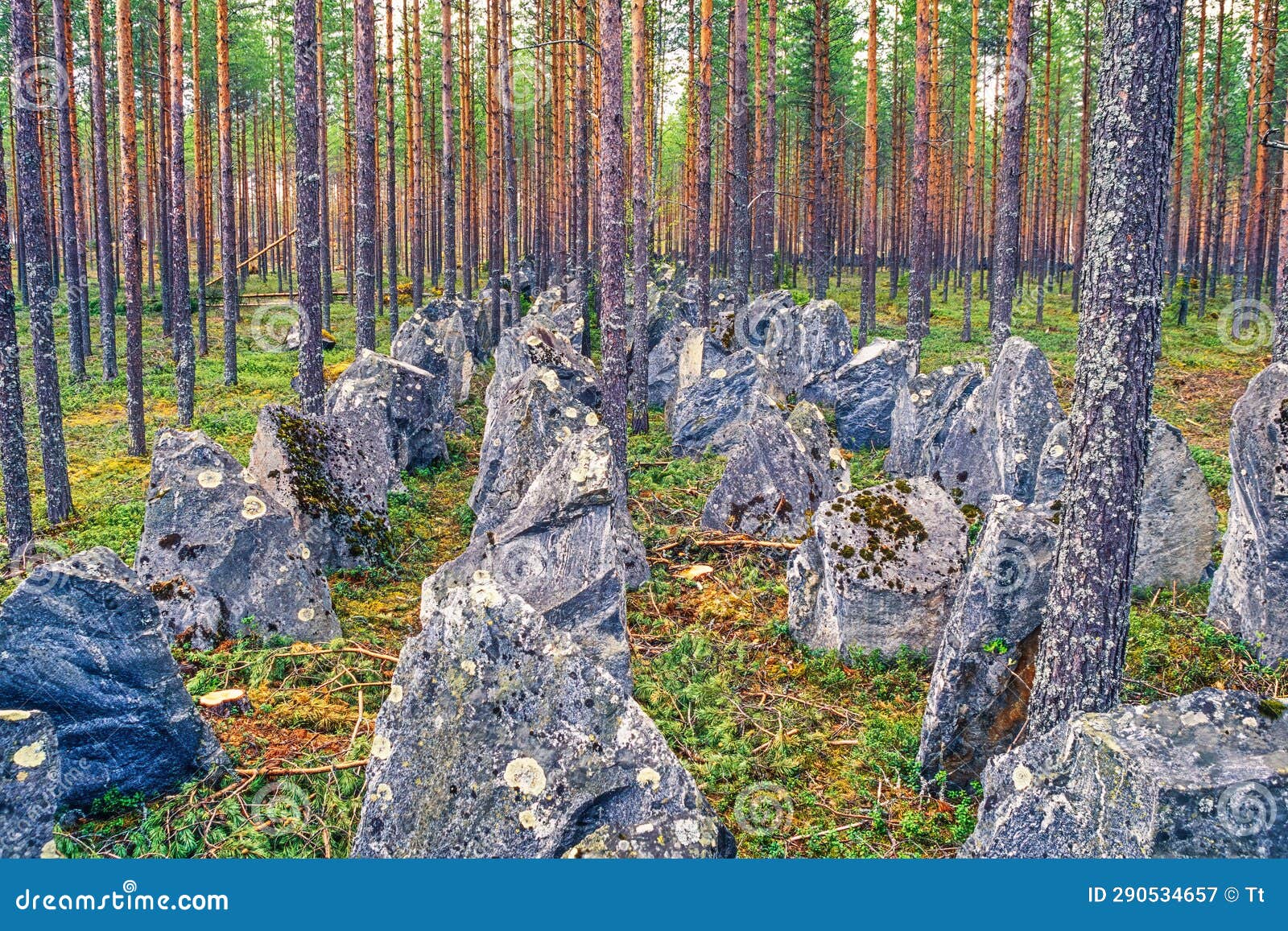 Old Tank Barrier with Rock in a Forest at Finland Border Stock Image ...