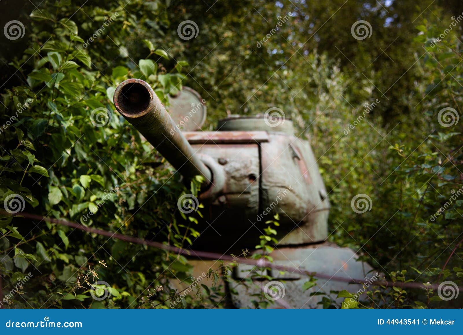 Old tank stock image. Image of rusty, defense, trees - 44943541
