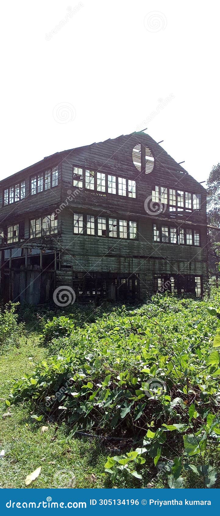 Old Tea Factory Environment Build Stock Photo - Image of bild ...