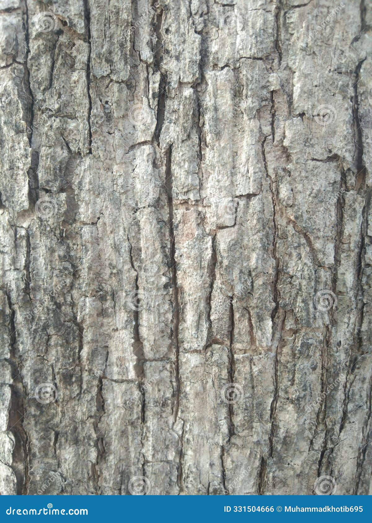 Old teak wood motif stock photo. Image of teak, motif - 331504666