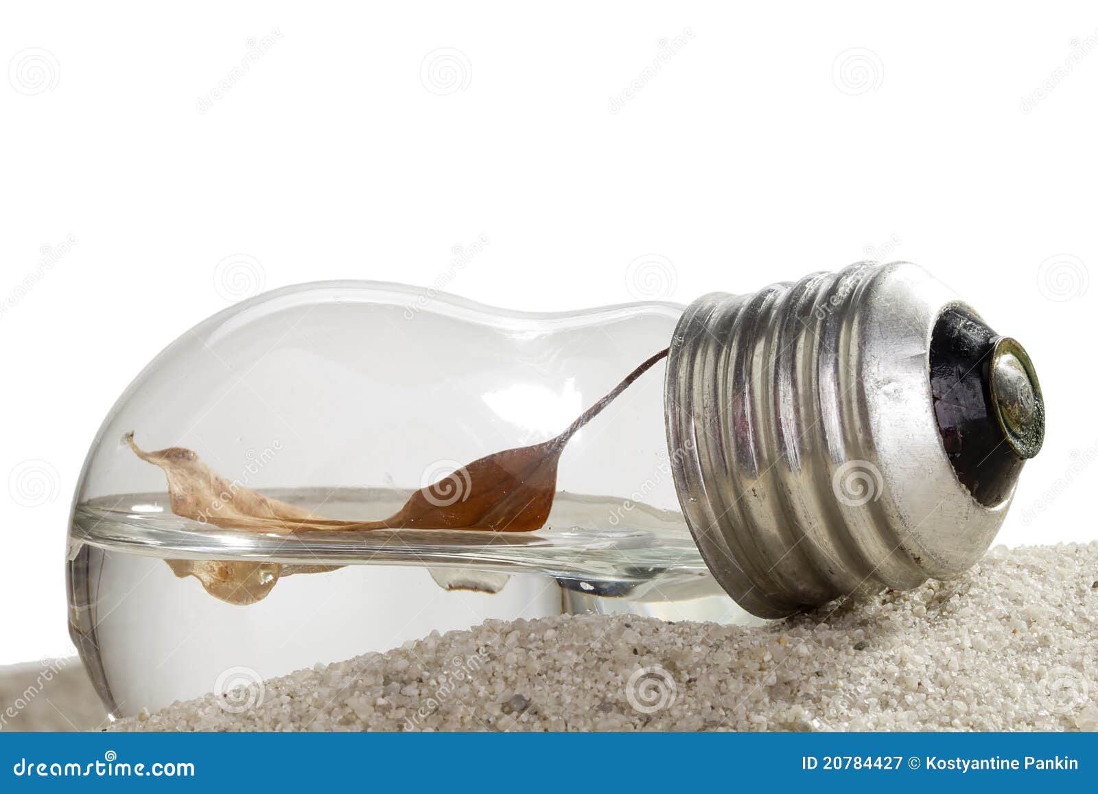 Dead Environment Light Bulb Dry Nature Pollution Background Stock ...