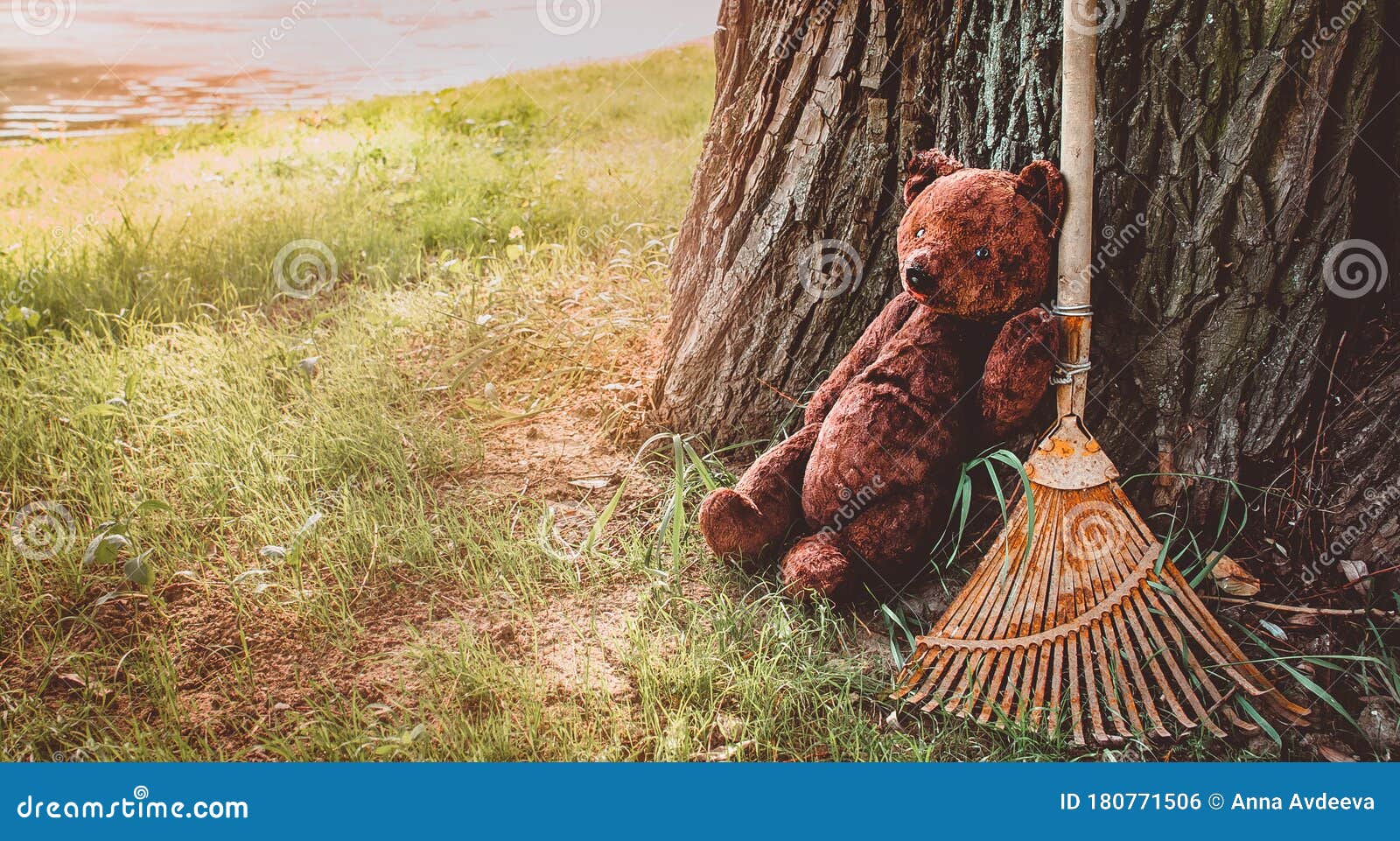 An Old Teddy Bear Sits Alone Under a Tree in the Park Stock Photo ...