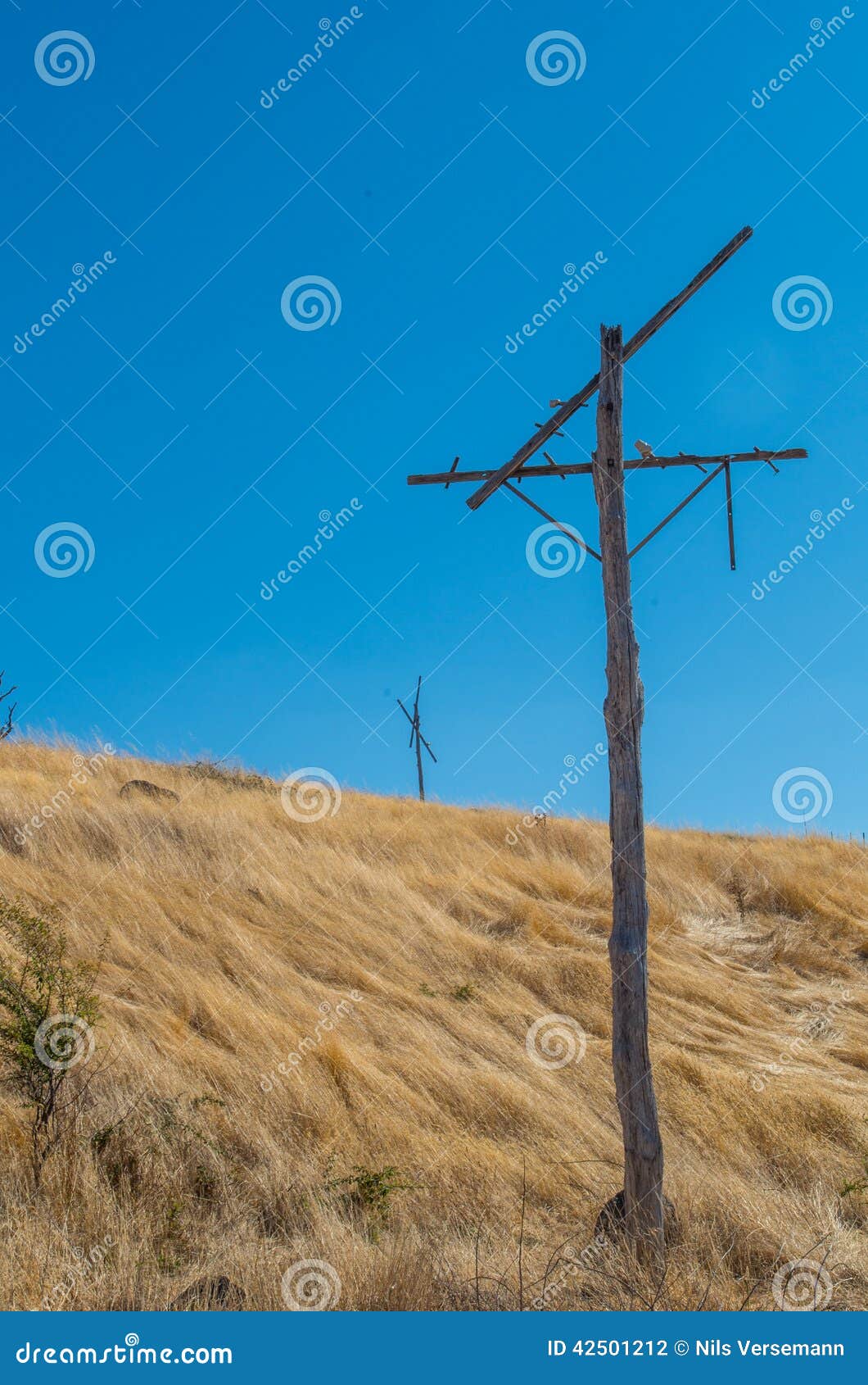 Old Telegraph Poles Royalty-Free Stock Photo | CartoonDealer.com #42501207