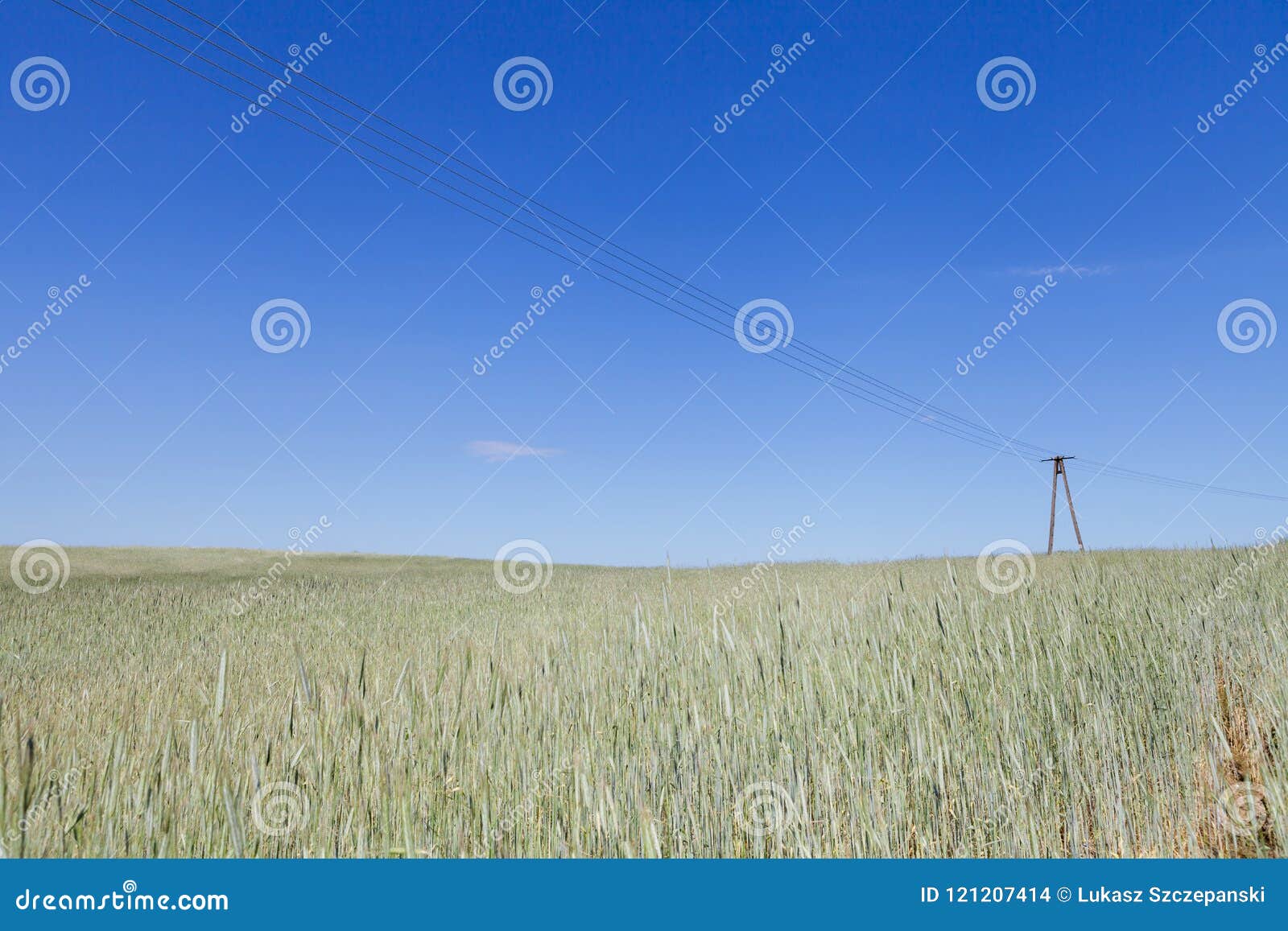 Old Telephone Line on the Field of Grain Stock Photo - Image of data ...