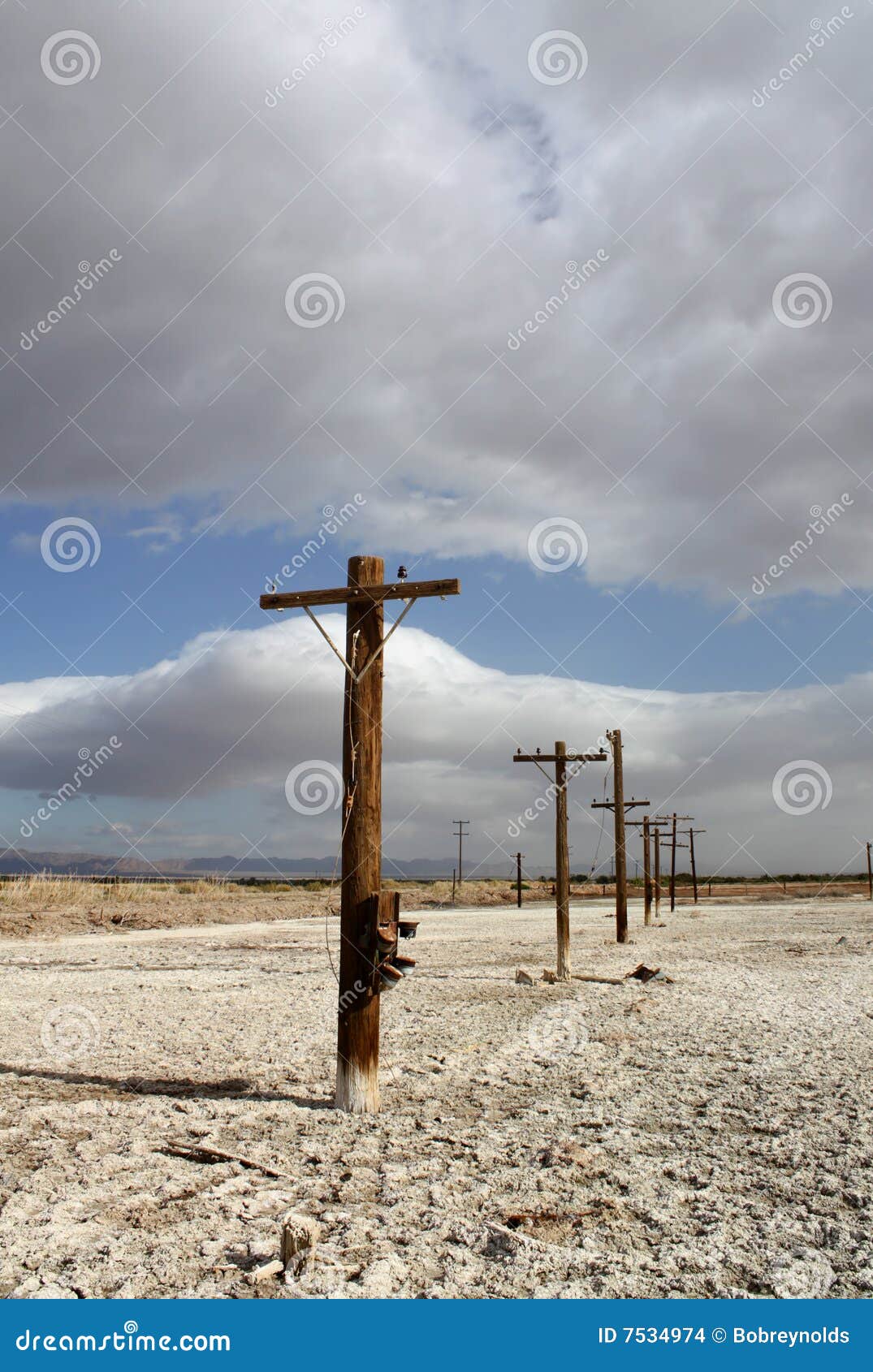 Old Telephone Poles at the Salton Sea Stock Photo - Image of salt ...