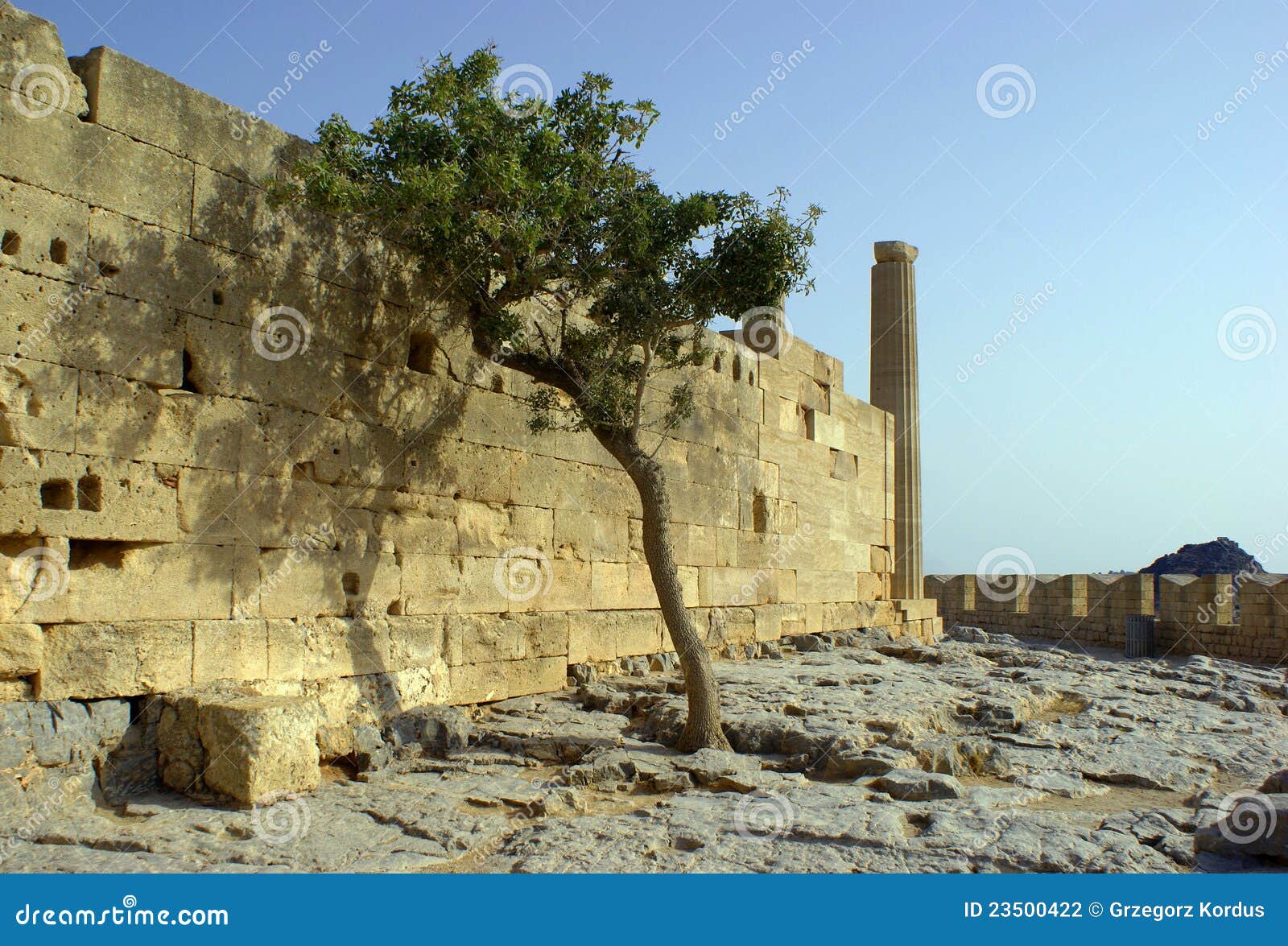 Old Temple and Tree, Greece Stock Photo - Image of column, stone: 23500422