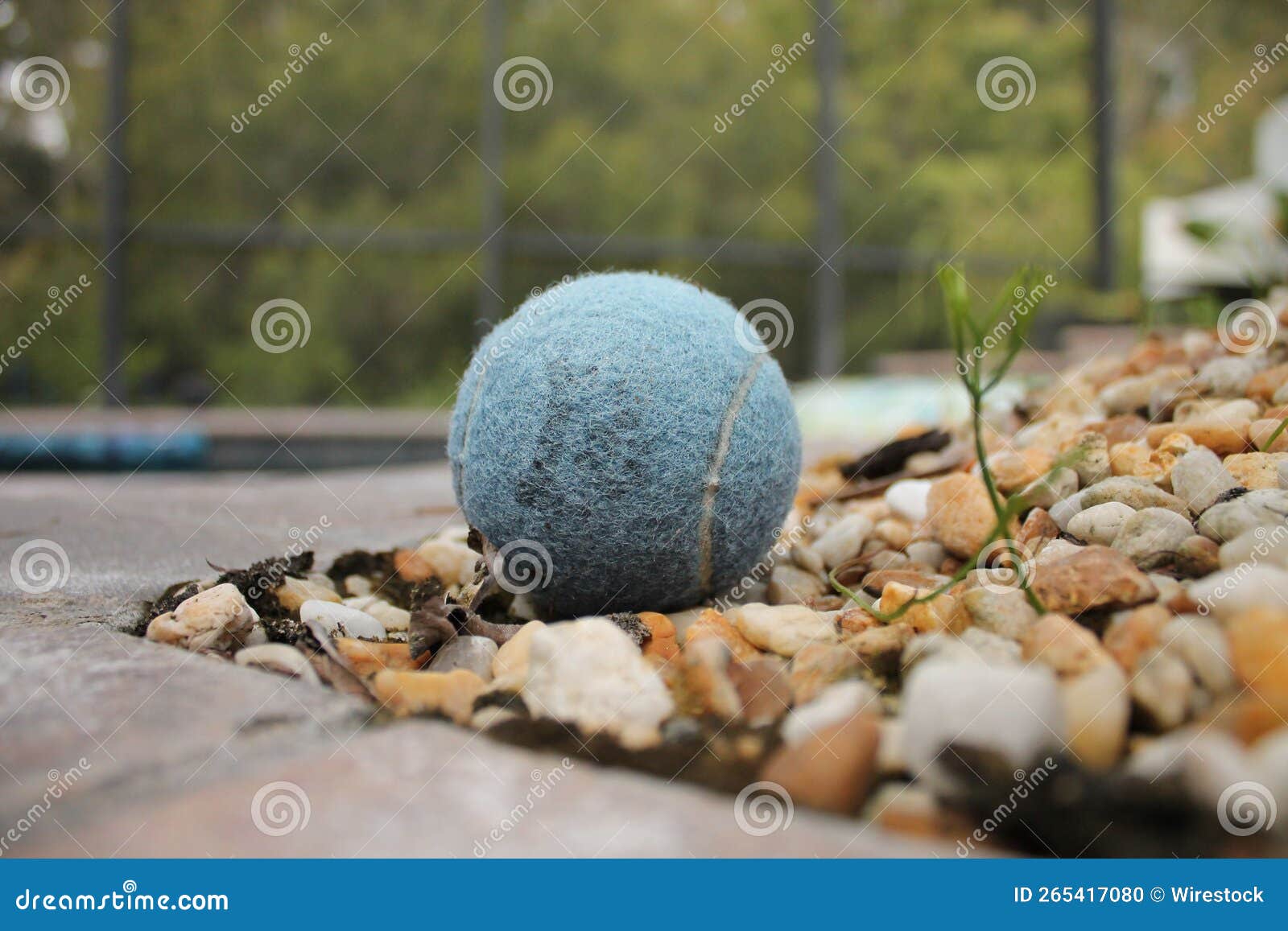 Old Tennis Ball on the Pile of Rocks Stock Photo - Image of detail ...