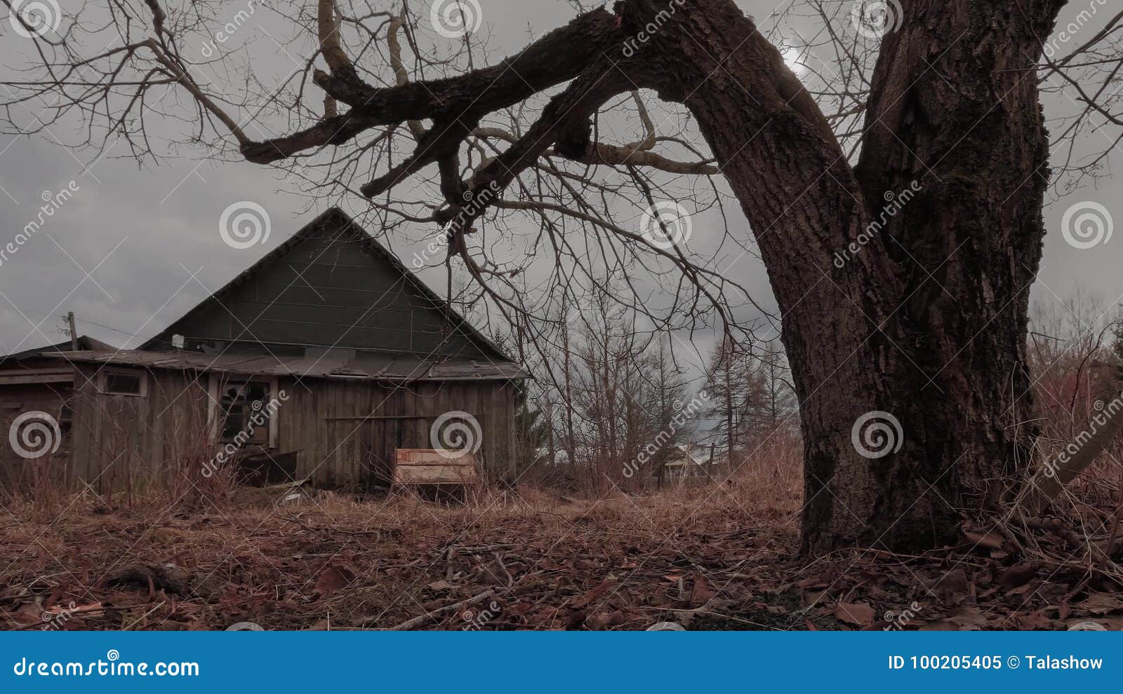 Old Terrible House Near a Big Tree Timelapse Stock Video - Video of ...