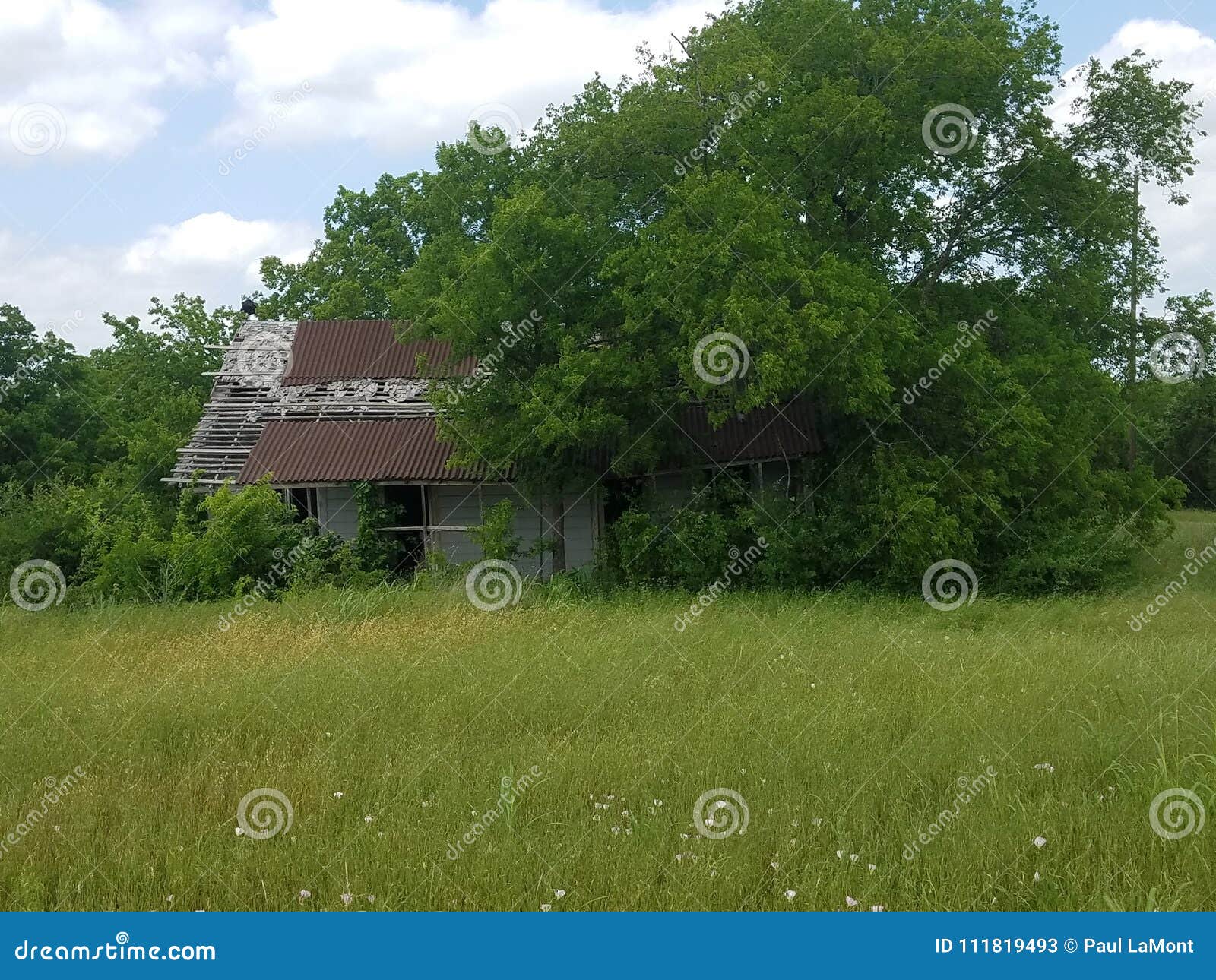 Old Texas Barn stock image. Image of barn, texas, rustic - 111819493
