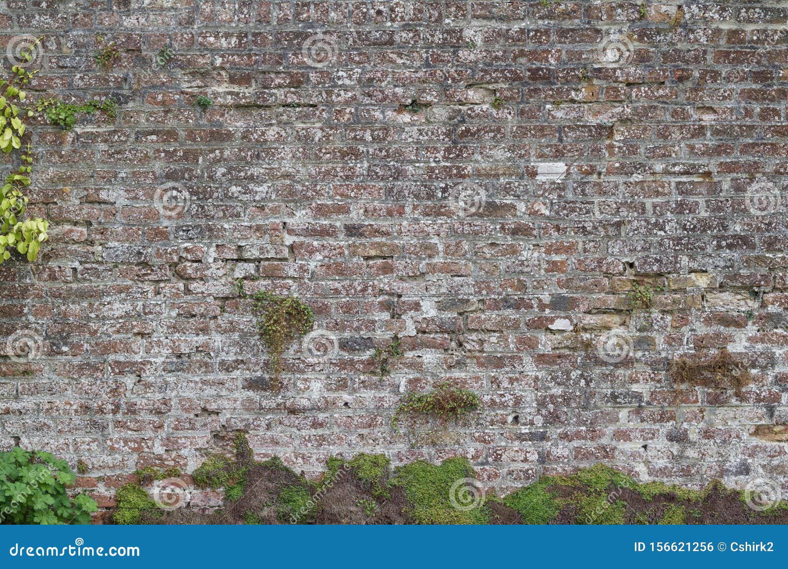 Attractive Old 18th Century European Brick Wall Background With An ...