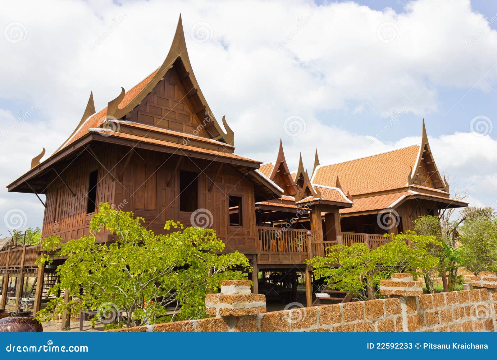 Thai House Cat, Siamese Cat Species Lay On Wooden Stock Photography ...