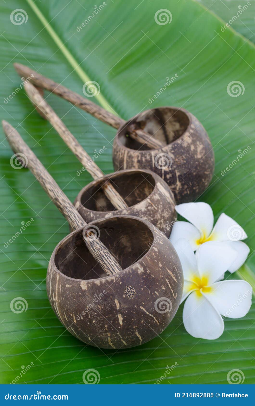 Old Thai Style Coconutshell Ladle Stock Image - Image of dishware ...