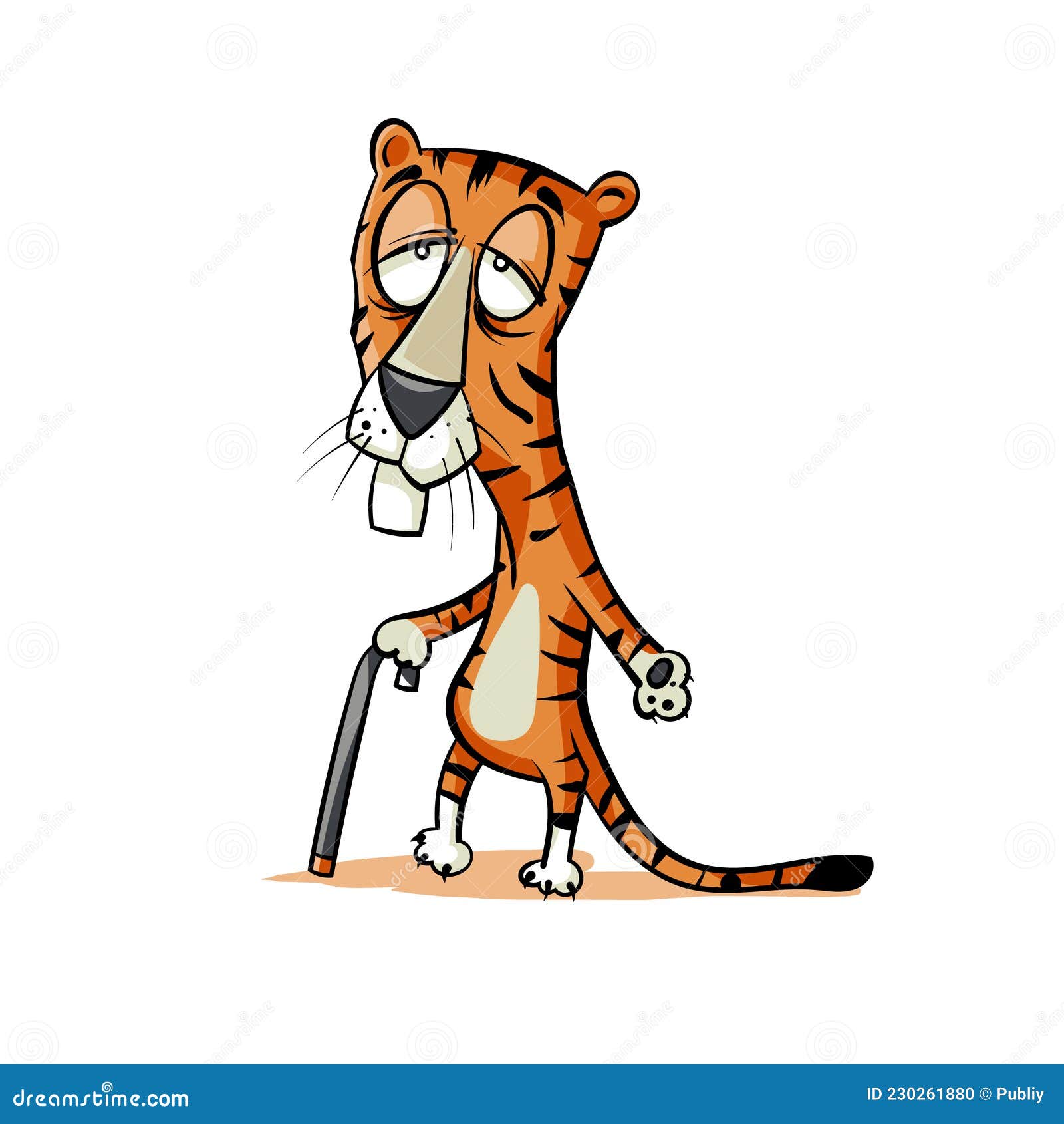 An Old Tiger with a Cane. he Looks at the Viewer in Confusion Stock ...