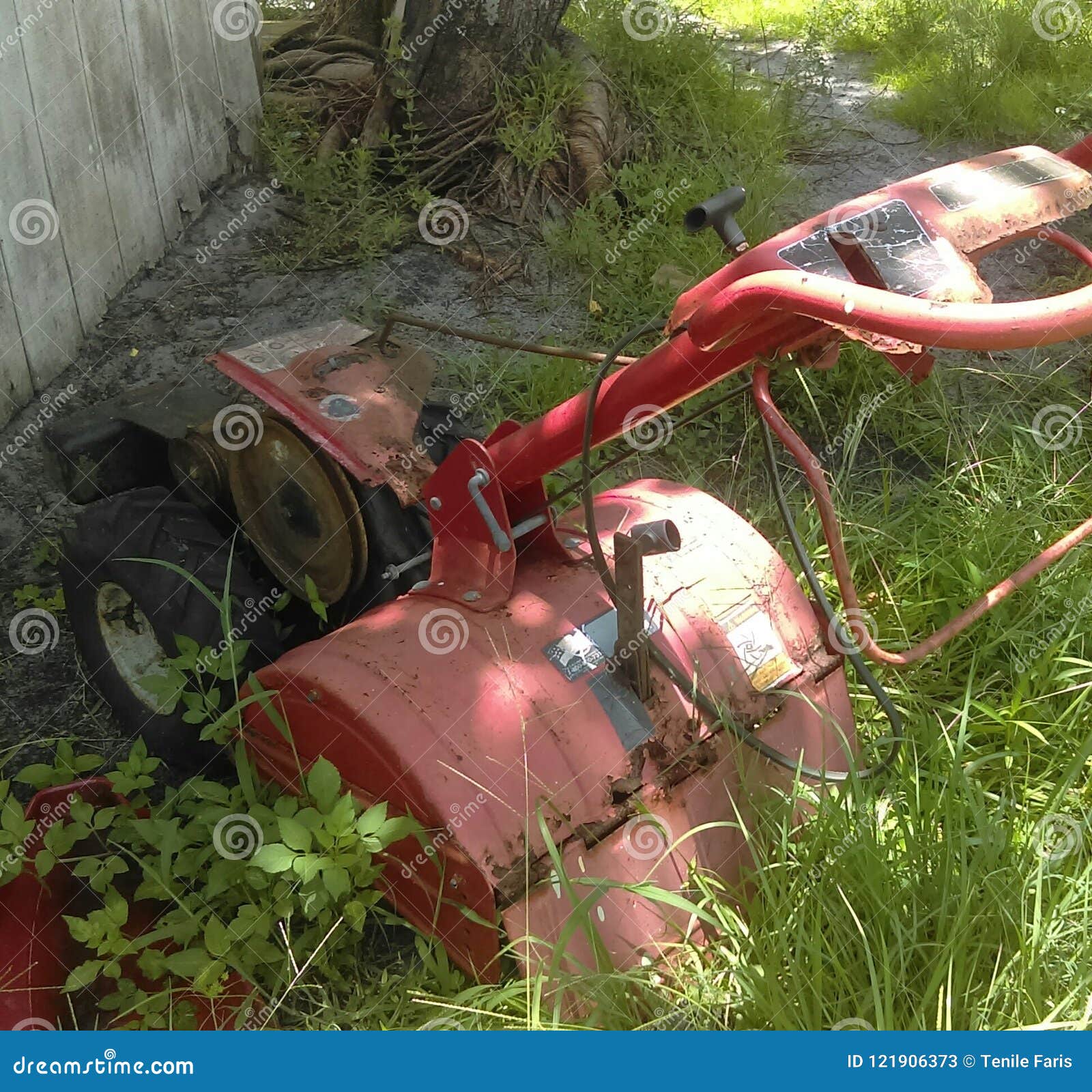 Old tiller stock image. Image of tree, outdoors, life - 121906373