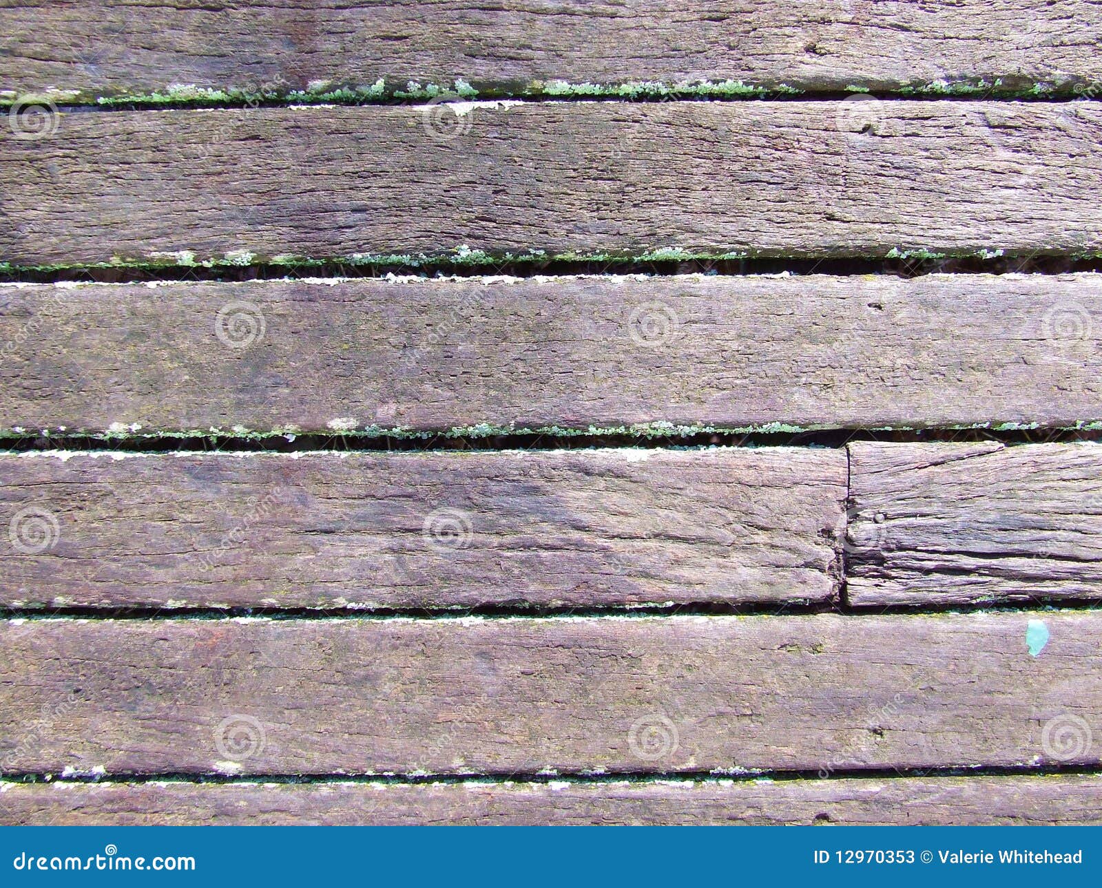 Old Timber stock image. Image of lichen, natural, gaps - 12970353