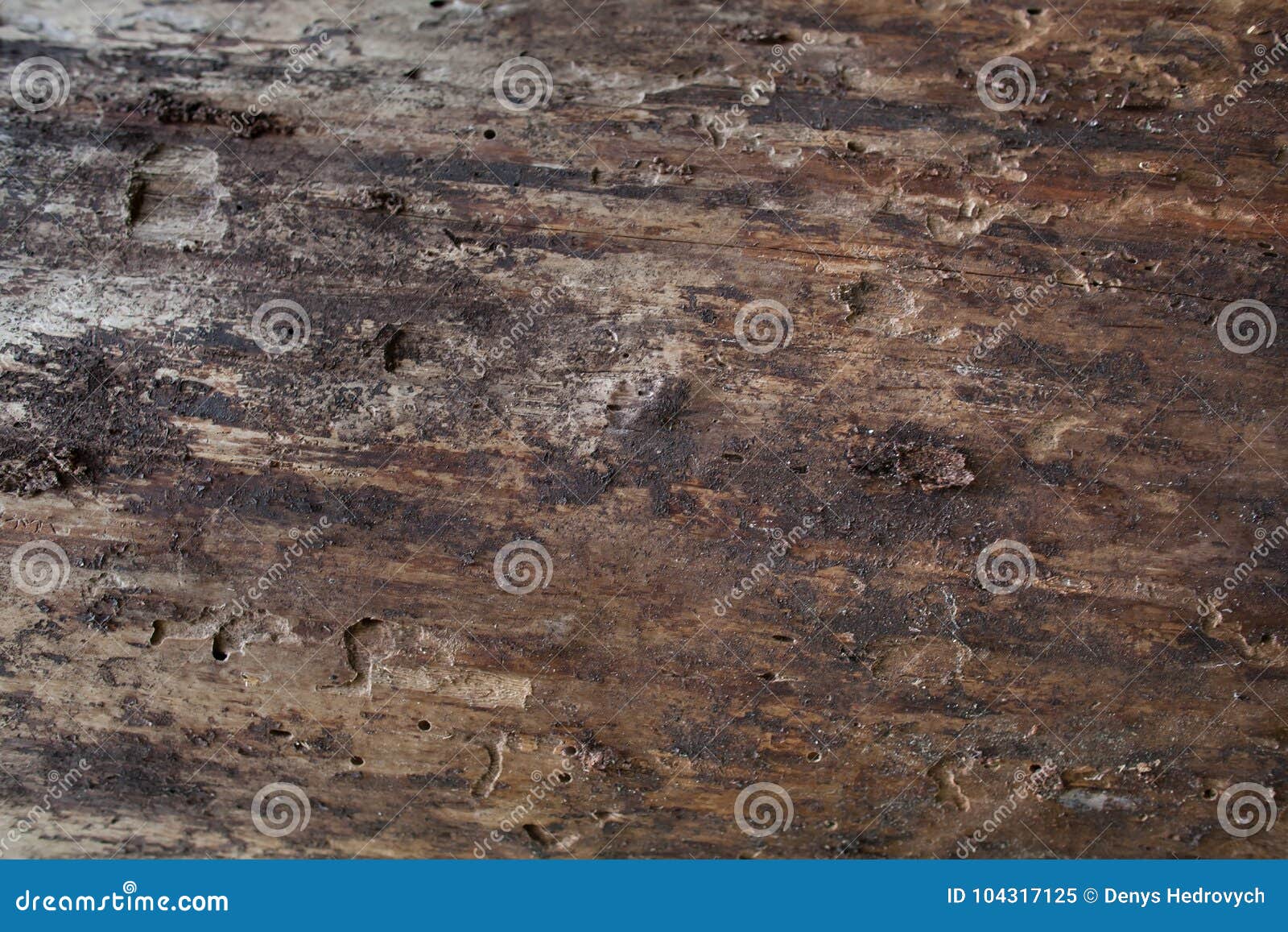 The old timber stock image. Image of bark, lumber, cracked - 104317125