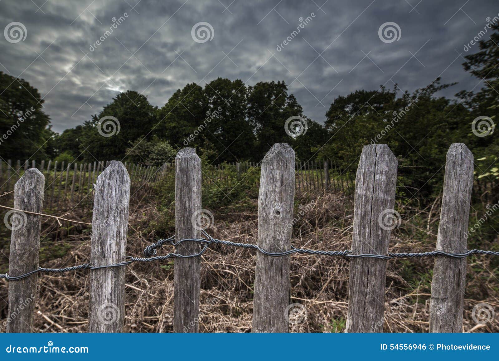 Old Timber fence stock photo. Image of detail, natural - 54556946