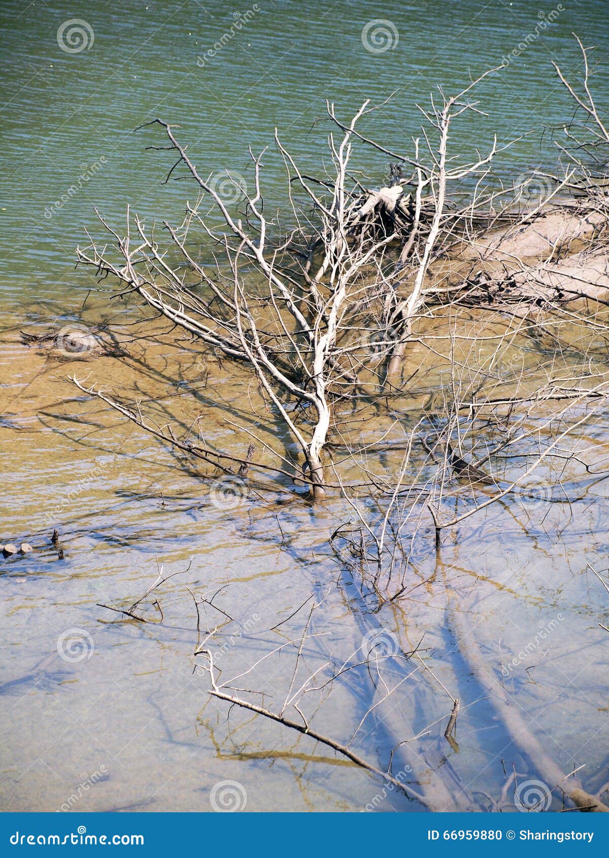 Old timber stock photo. Image of beauty, peaceful, travel - 66959880