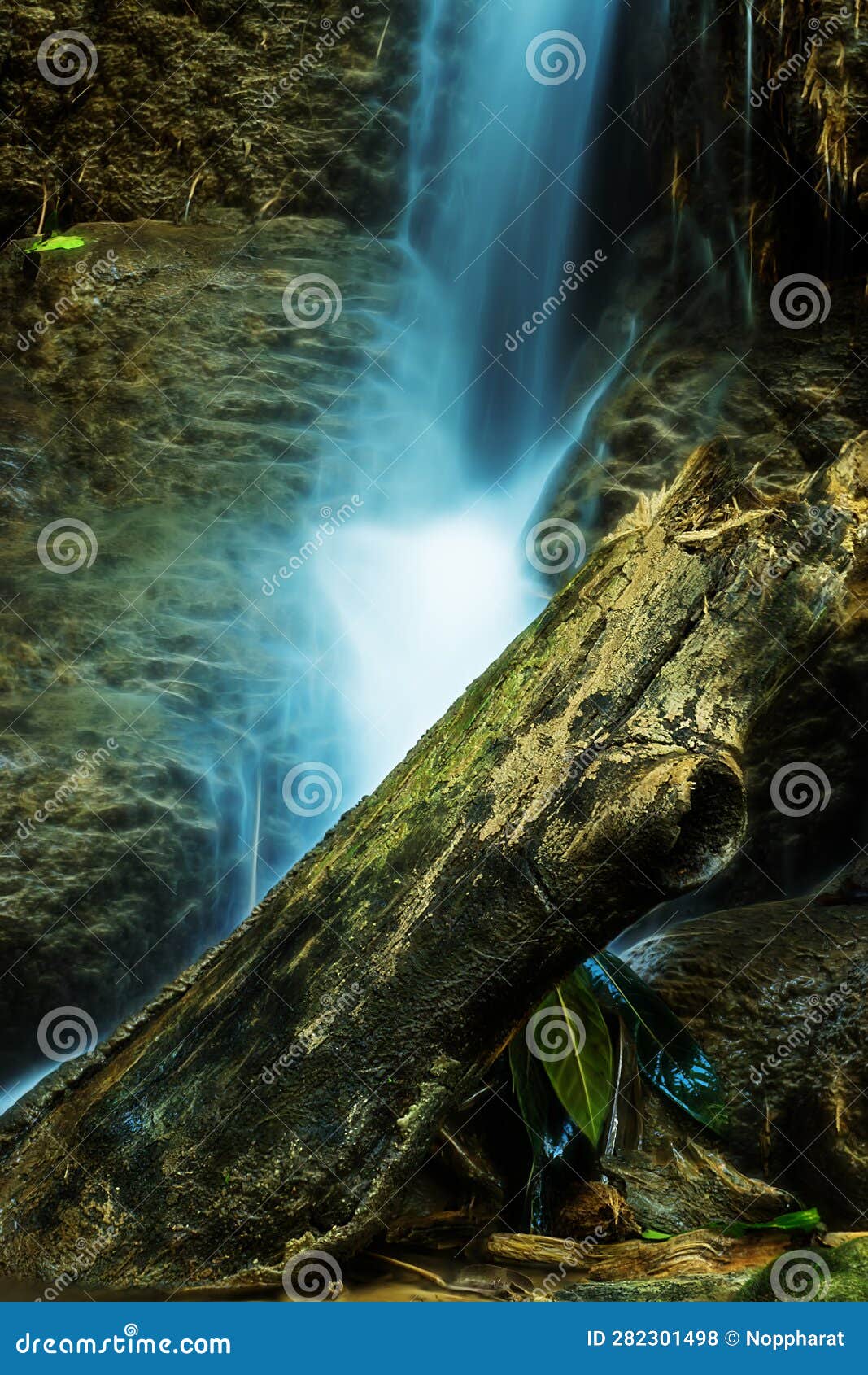 The Old Timber and Small Waterfall in the Forest Stock Photo - Image of ...
