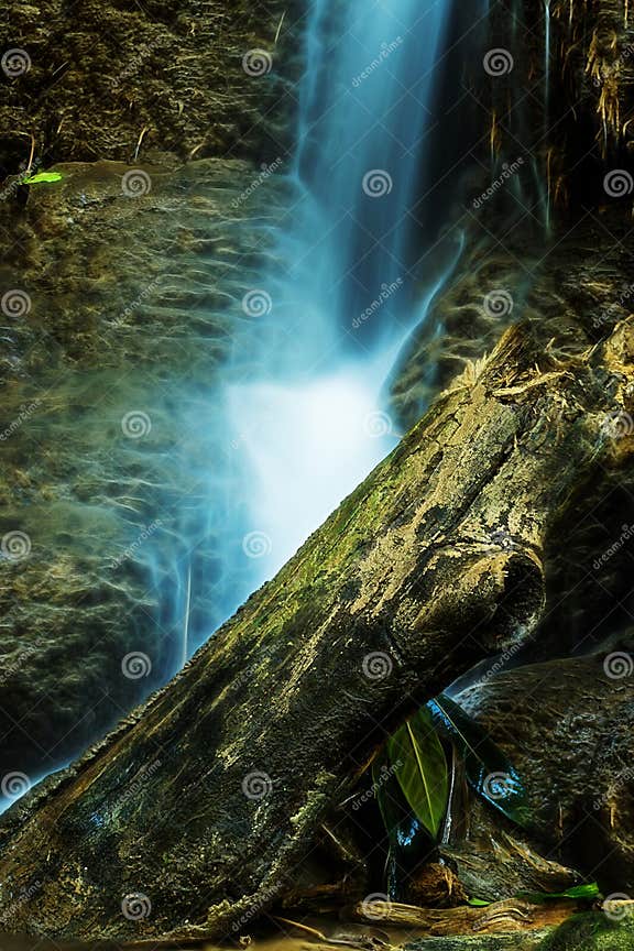 The Old Timber and Small Waterfall in the Forest Stock Photo - Image of ...