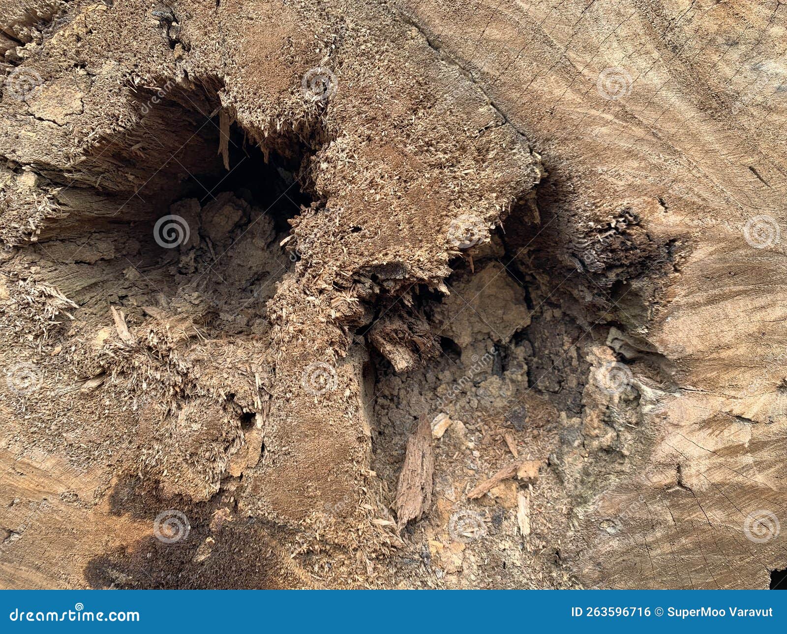 The Old Timber Texture Surface Has Holes and Cracks Stock Photo - Image ...