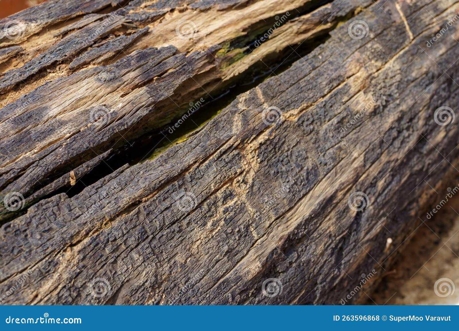 Old Timber Textures Have Burn Marks and Cracks Stock Photo - Image of ...