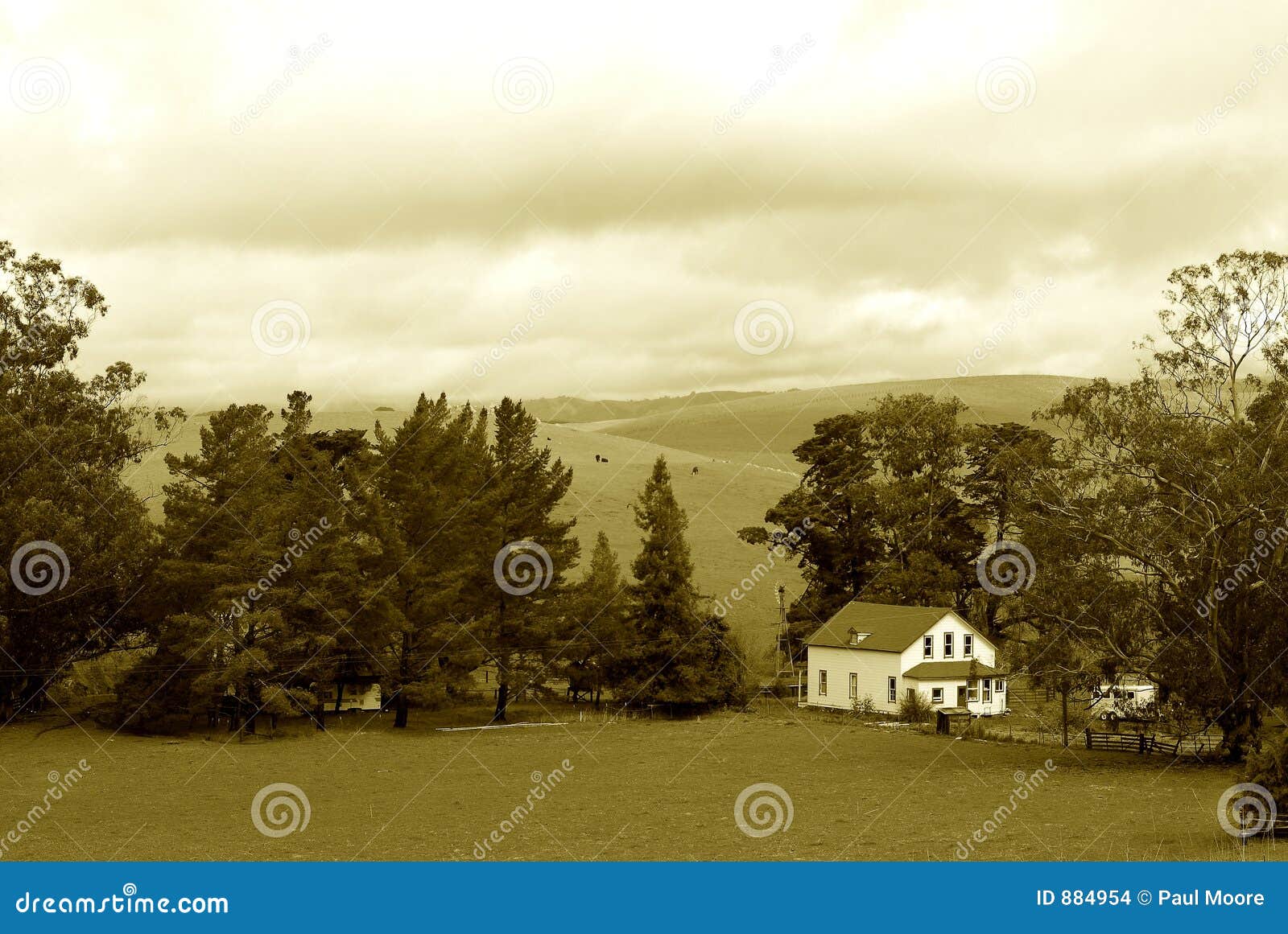Old Time Farm stock photo. Image of food, produce, toned - 884954
