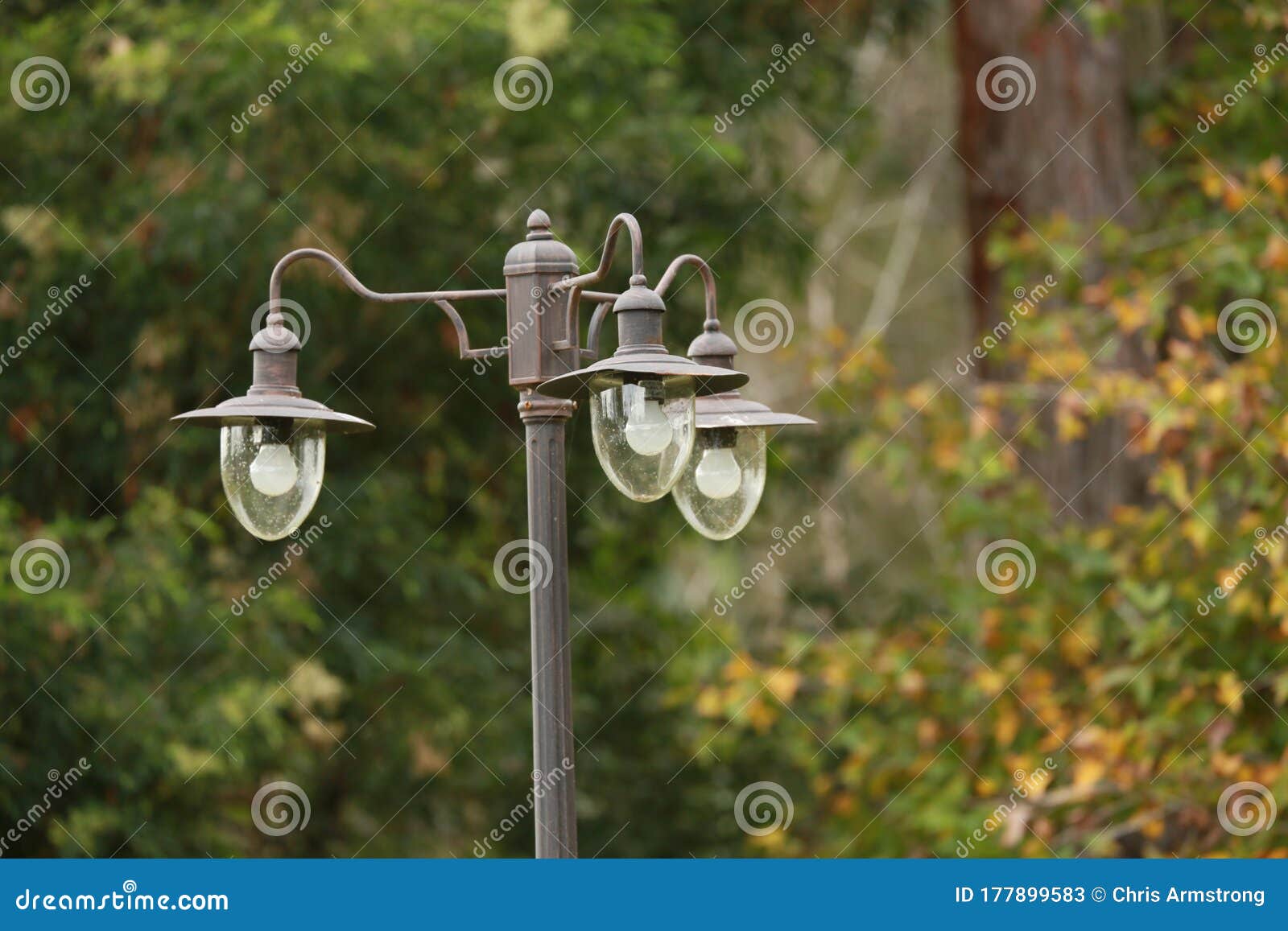 Old time lamp lights stock image. Image of nature, yellow - 177899583