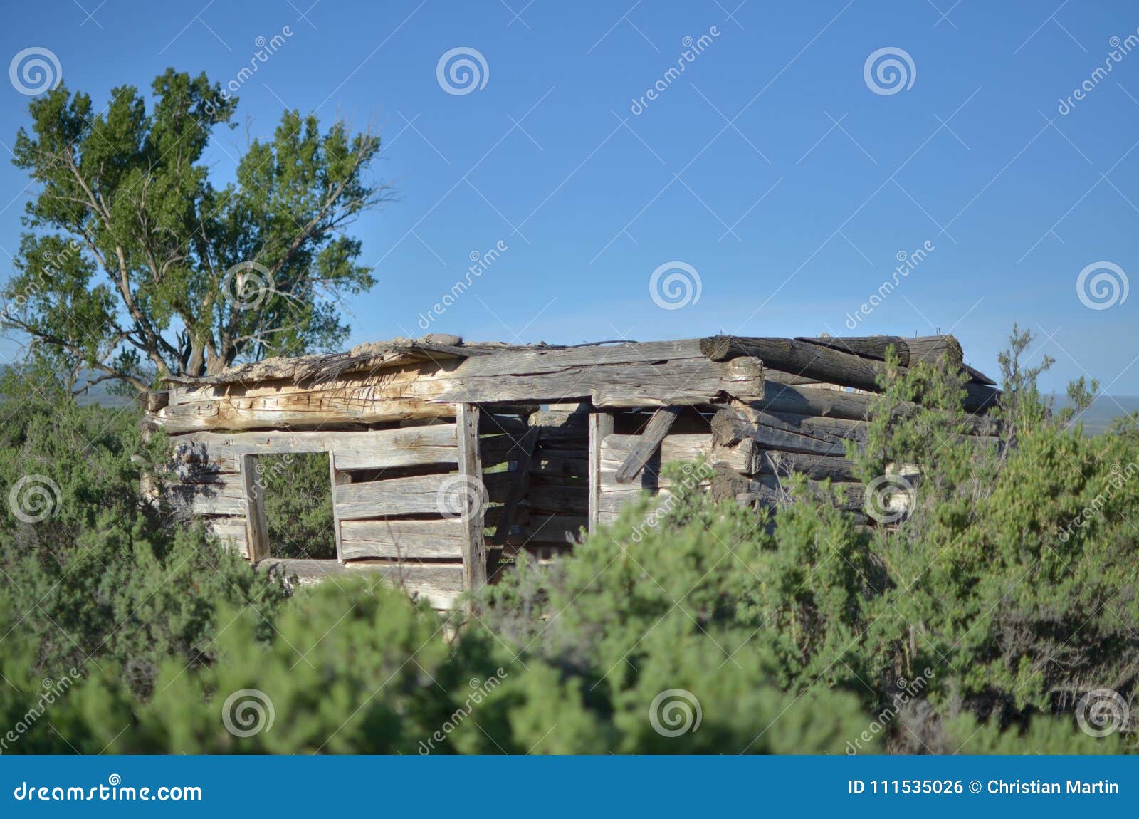 Old time log cabin stock photo. Image of shrubs, western - 111535026